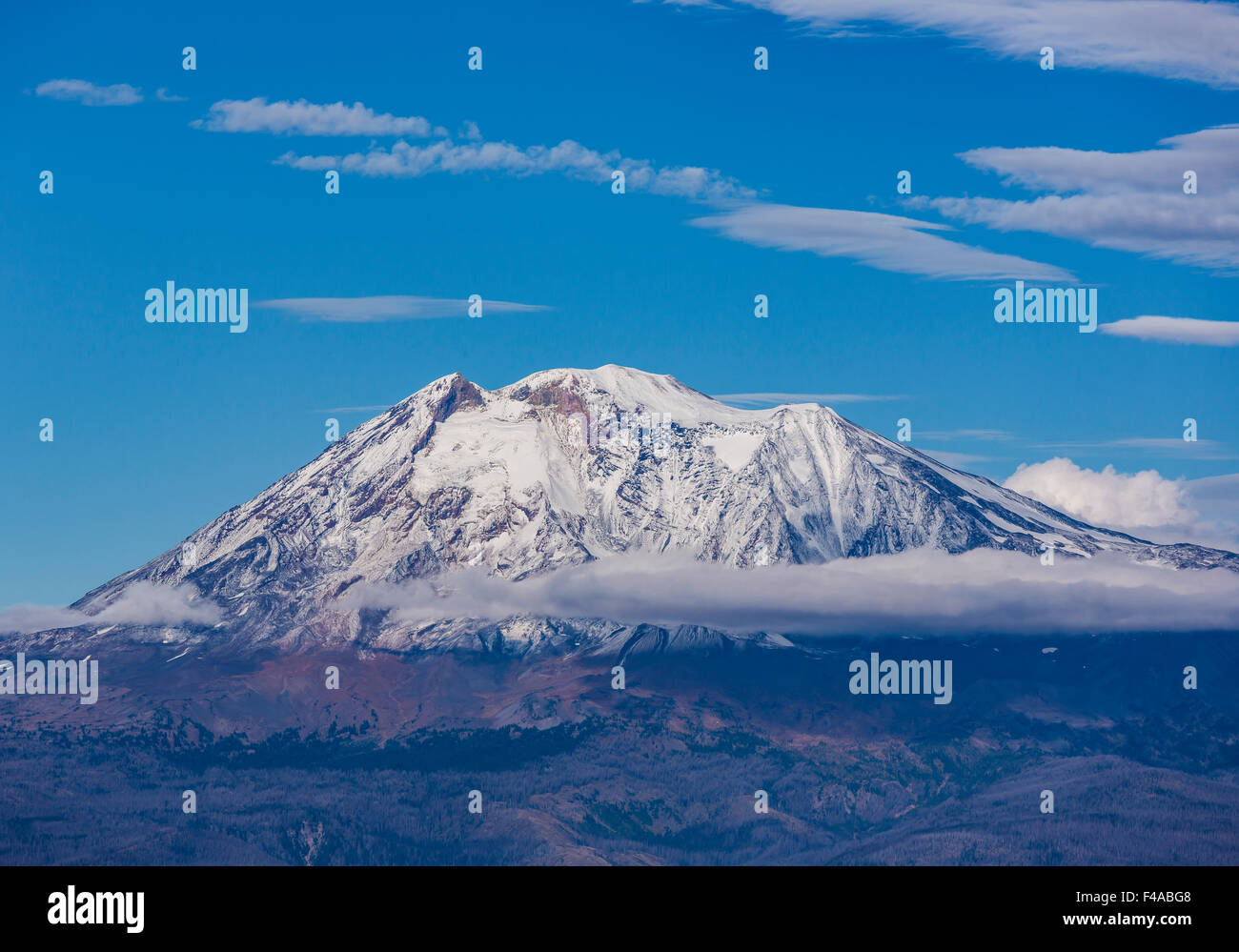 GIFFORD PINCHOT NATIONAL FOREST, WASHINGTON, USA - Mount Adams ...