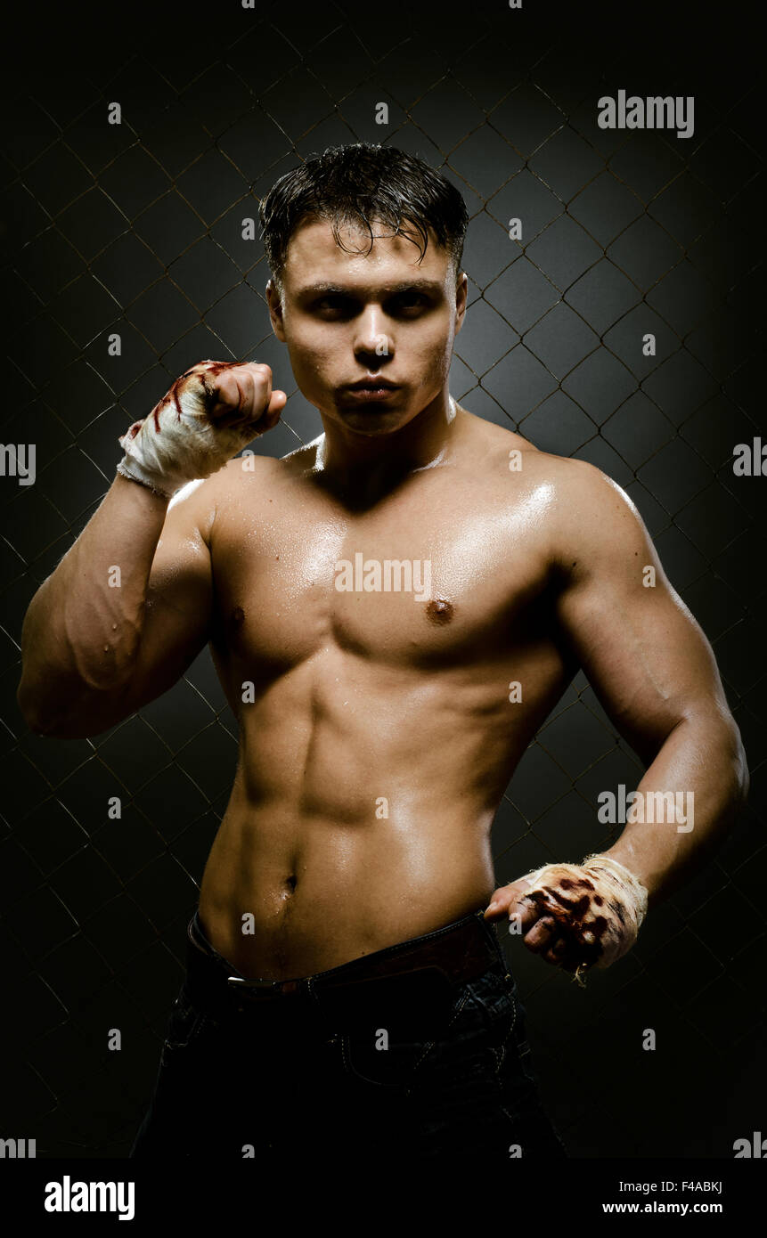Fight pugnacious hi-res stock photography and images - Alamy