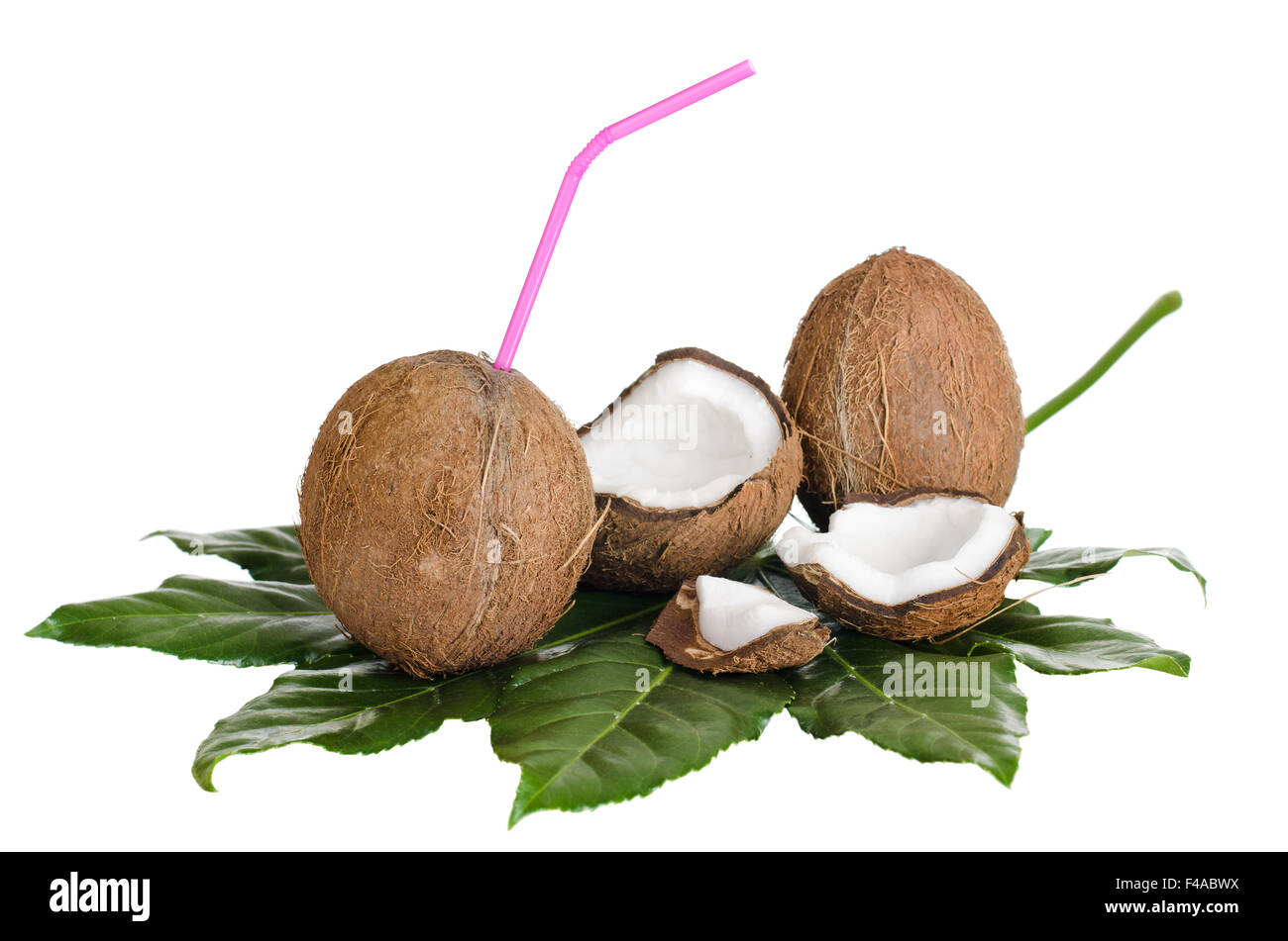 Coconut edible Cut Out Stock Images & Pictures - Alamy