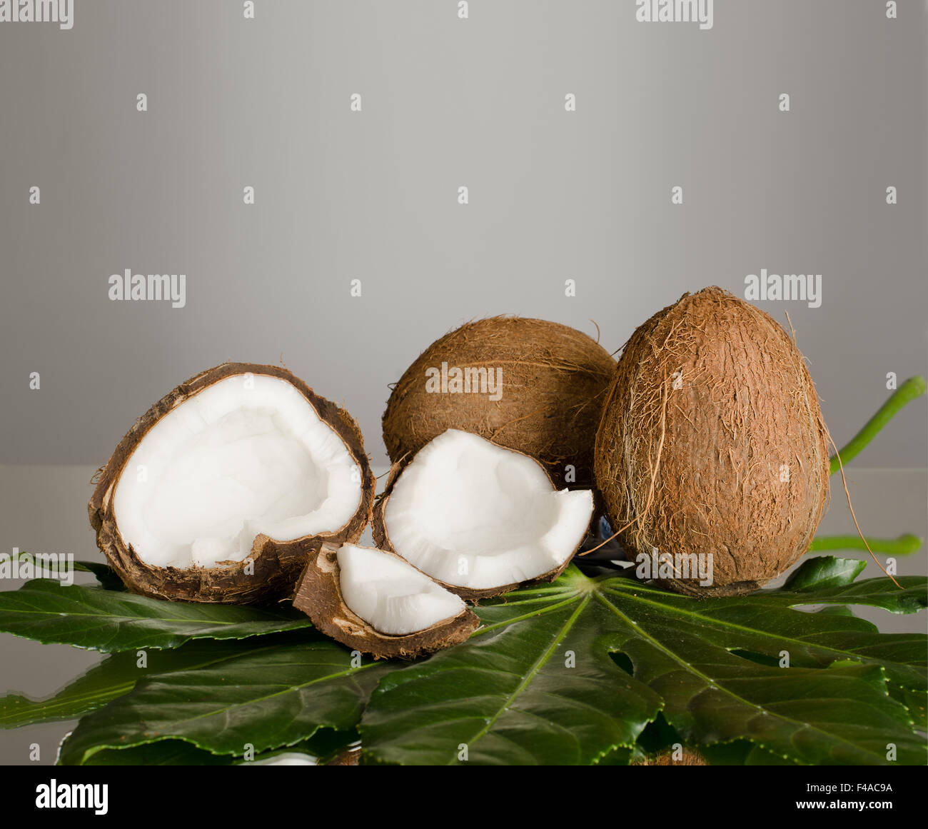 Coconut edible hi-res stock photography and images - Alamy