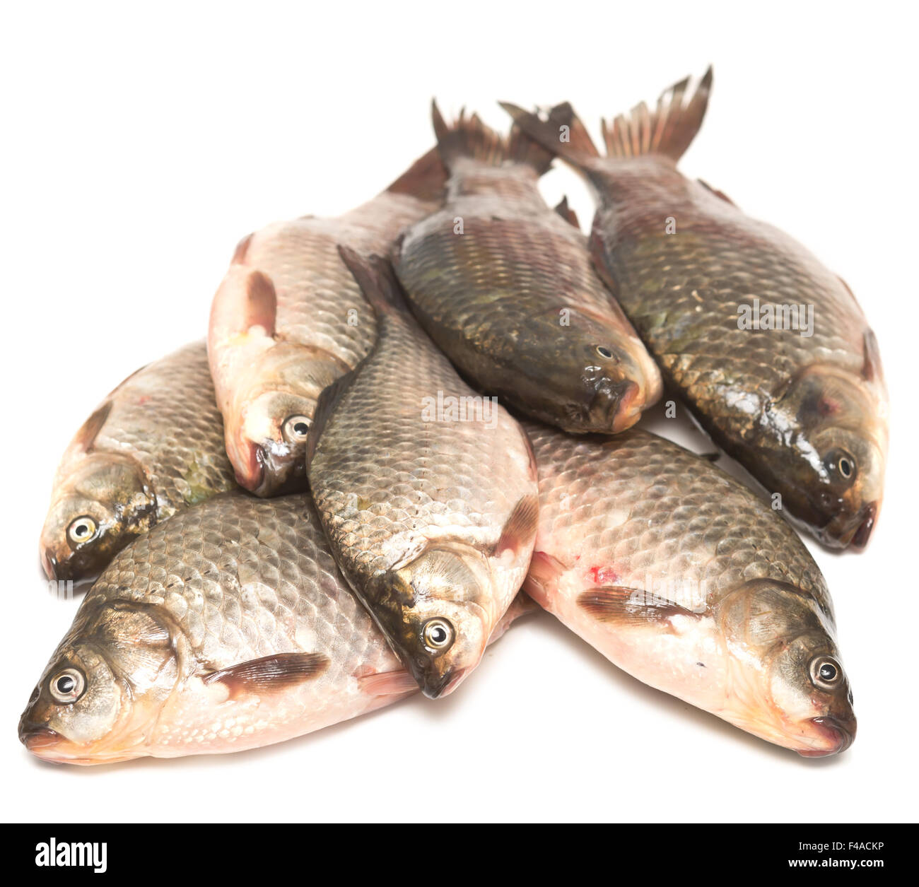 Pile of fish Cut Out Stock Images & Pictures - Alamy