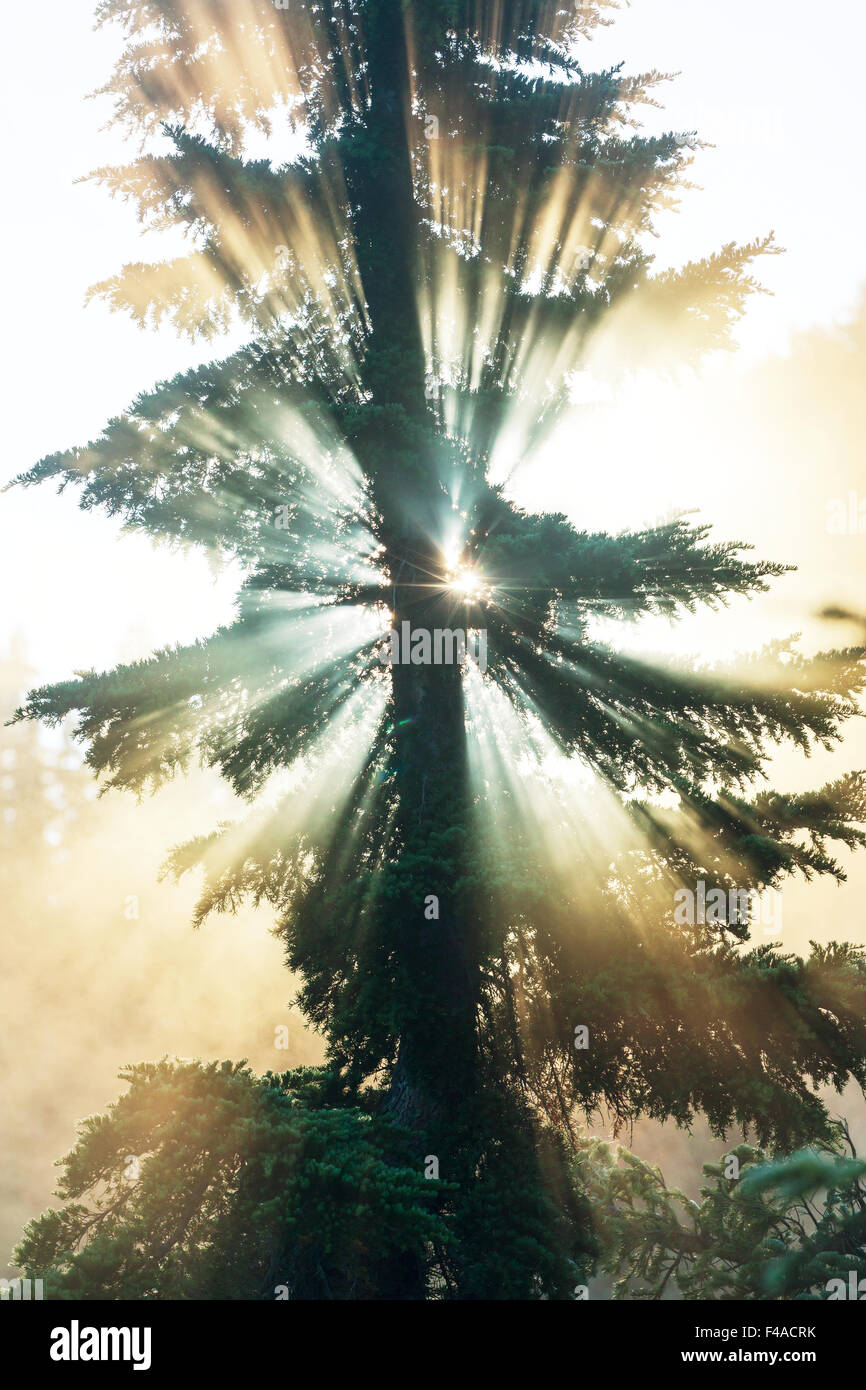 Bright beams hi-res stock photography and images - Alamy
