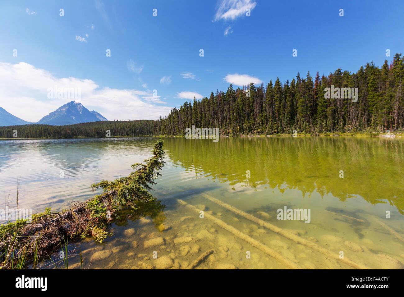 Lake in Jasper Stock Photo - Alamy