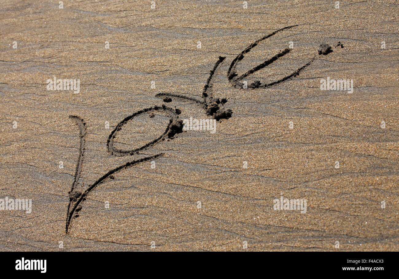 Necessary word hi-res stock photography and images - Alamy