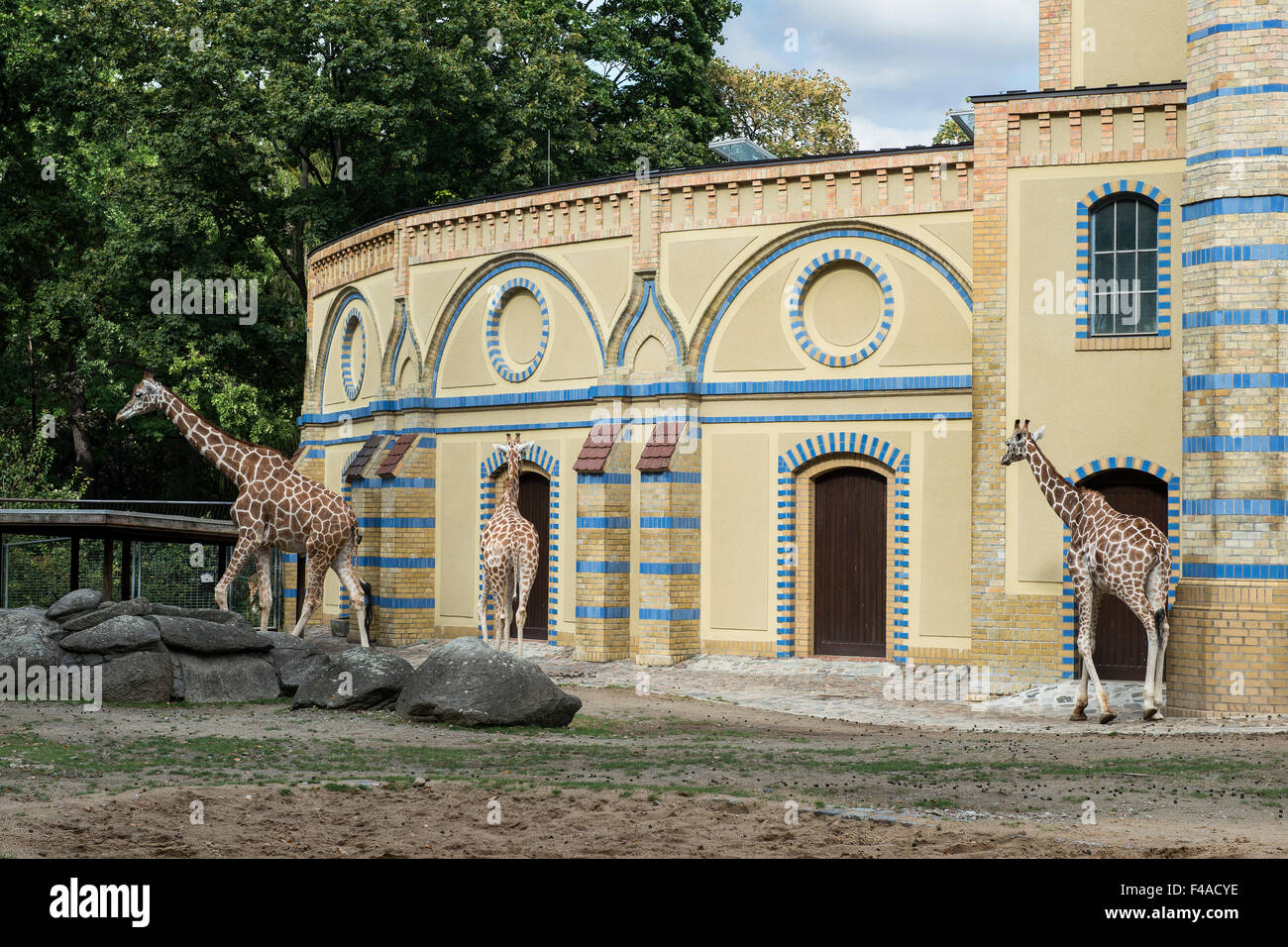 Germany, Berlin, Zoo Stock Photo - Alamy