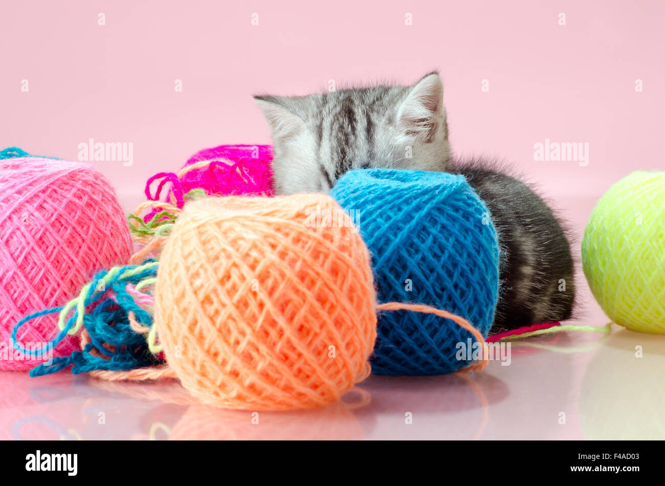 Ball of string kitten hi-res stock photography and images - Alamy