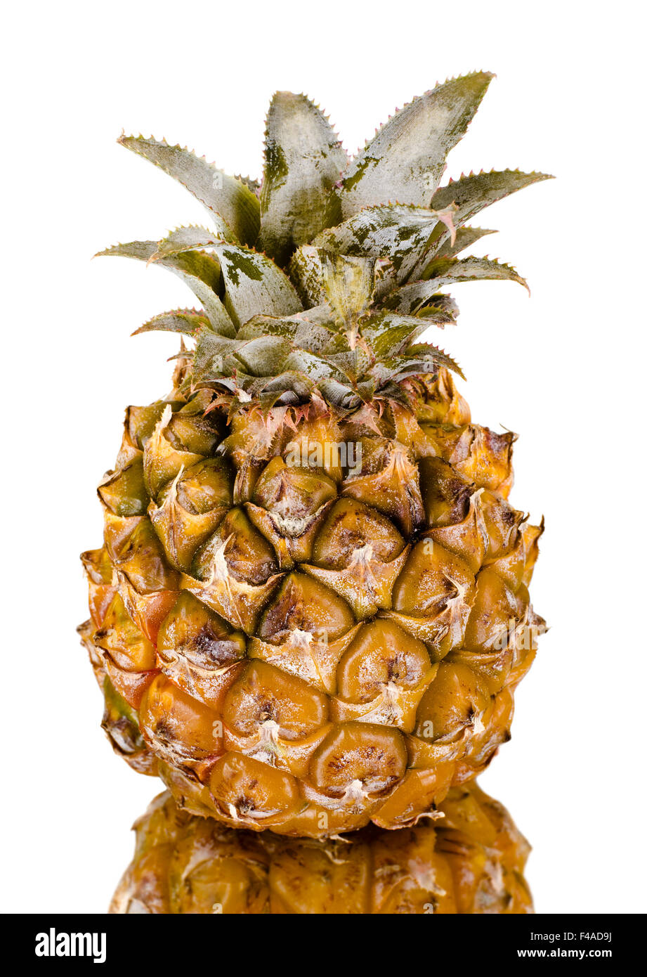 Pineapple alone hi-res stock photography and images - Alamy