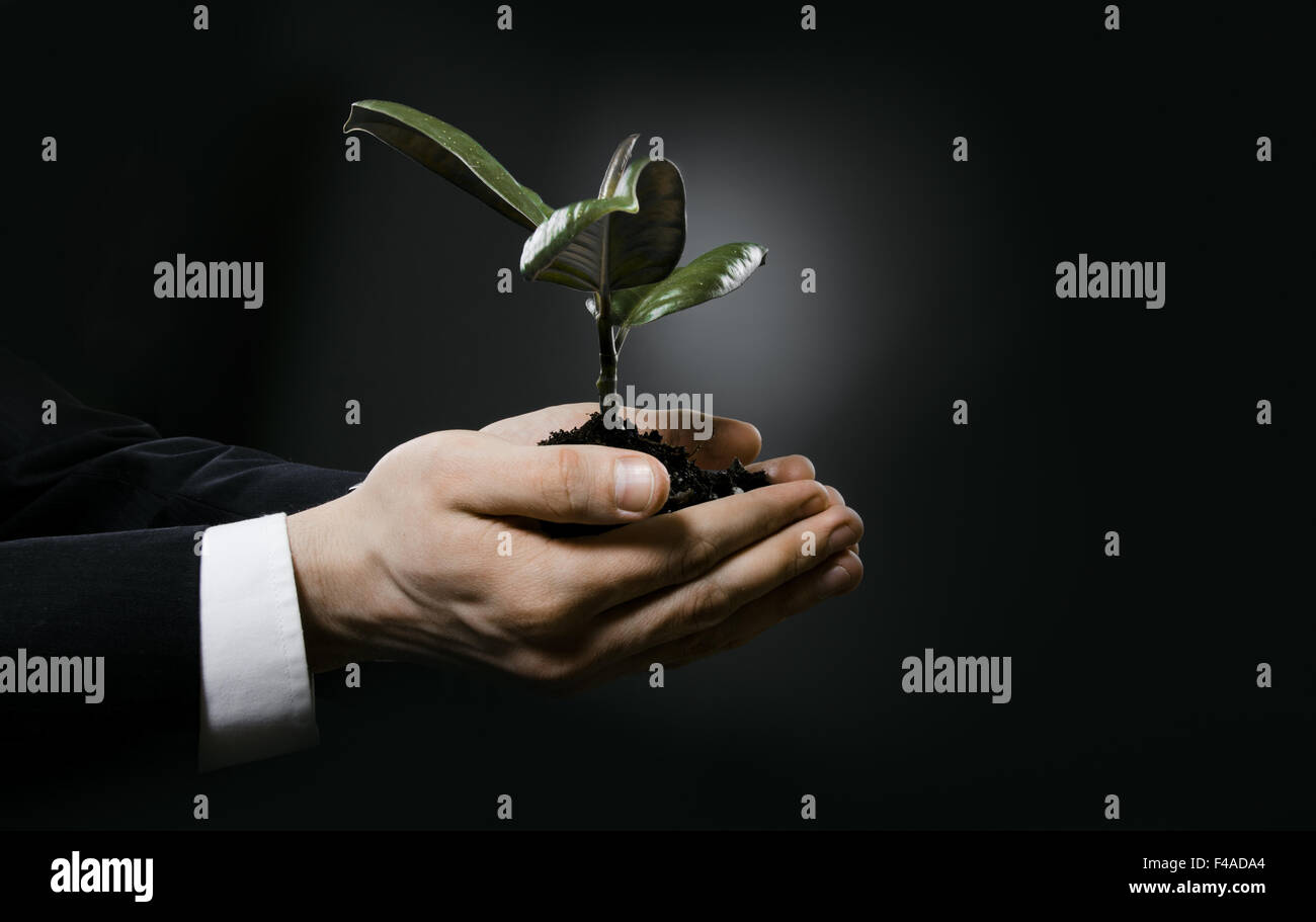 Solicitously hi-res stock photography and images - Alamy