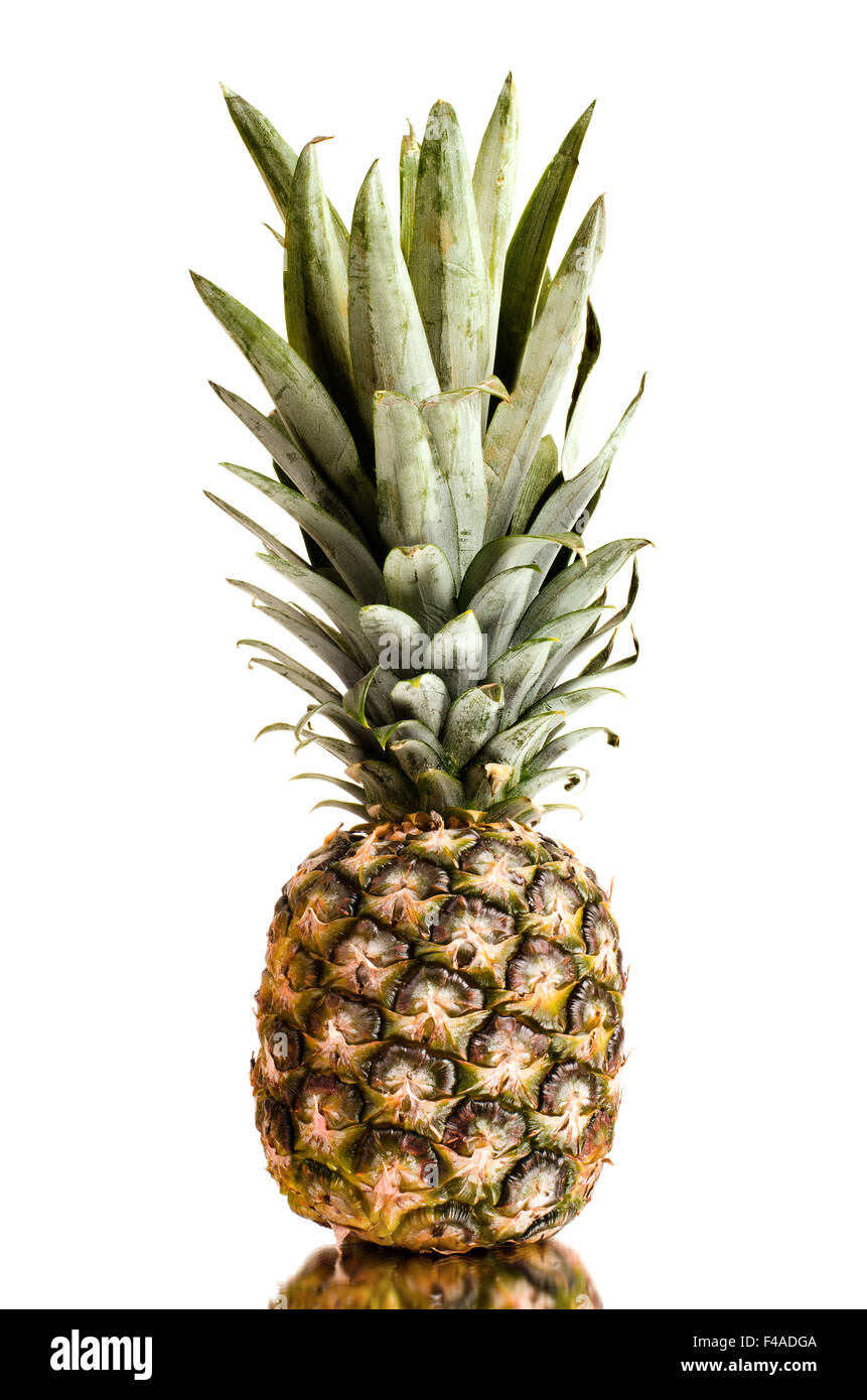 Pineapple alone hi-res stock photography and images - Alamy