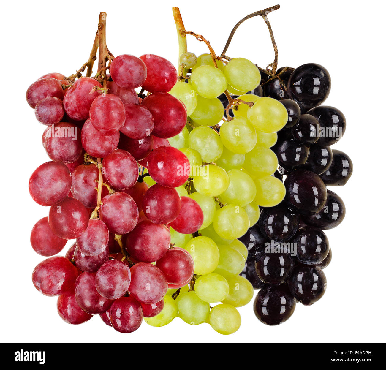 Big grapes Cut Out Stock Images & Pictures - Alamy