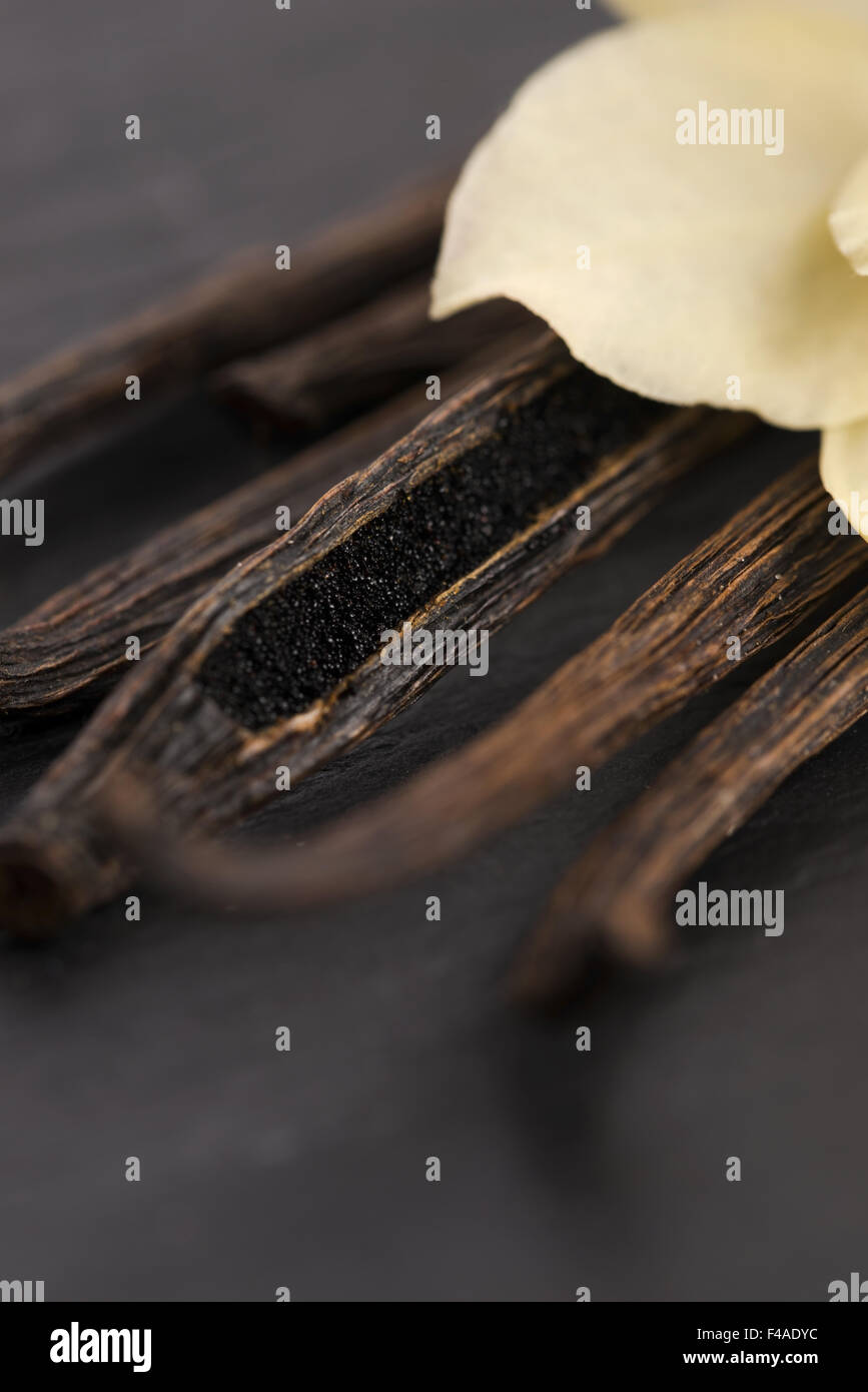 Vanilla pods and orchid flower hi-res stock photography and images - Alamy