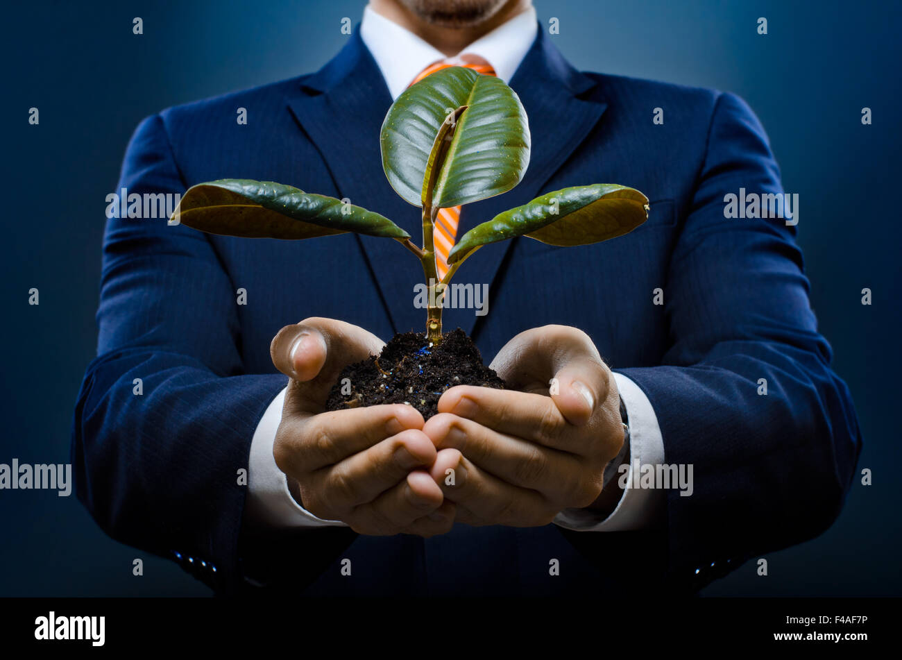 Sucker growth hi-res stock photography and images - Alamy