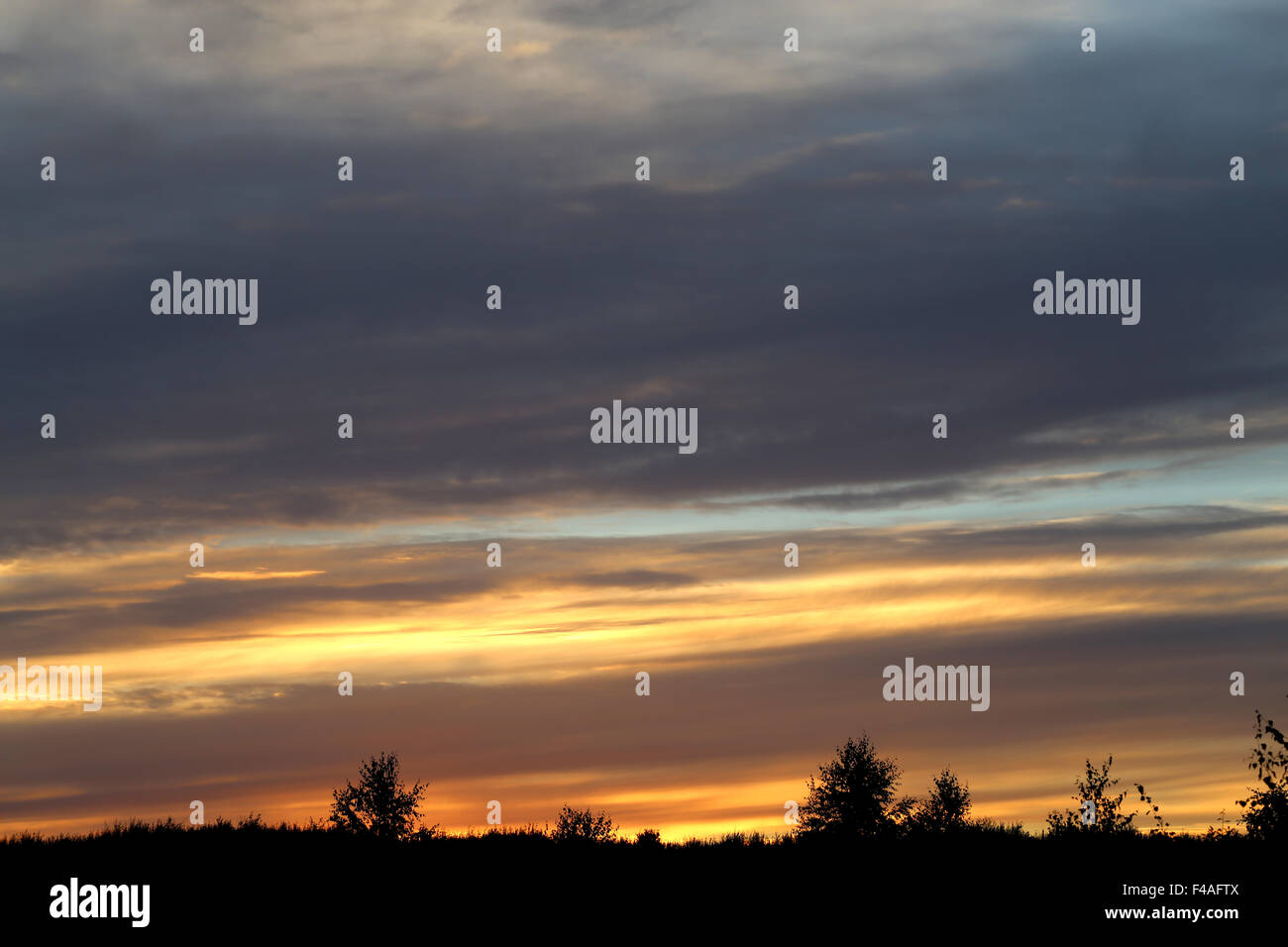 beautiful landscape with a sunset sky over the field Stock Photo - Alamy
