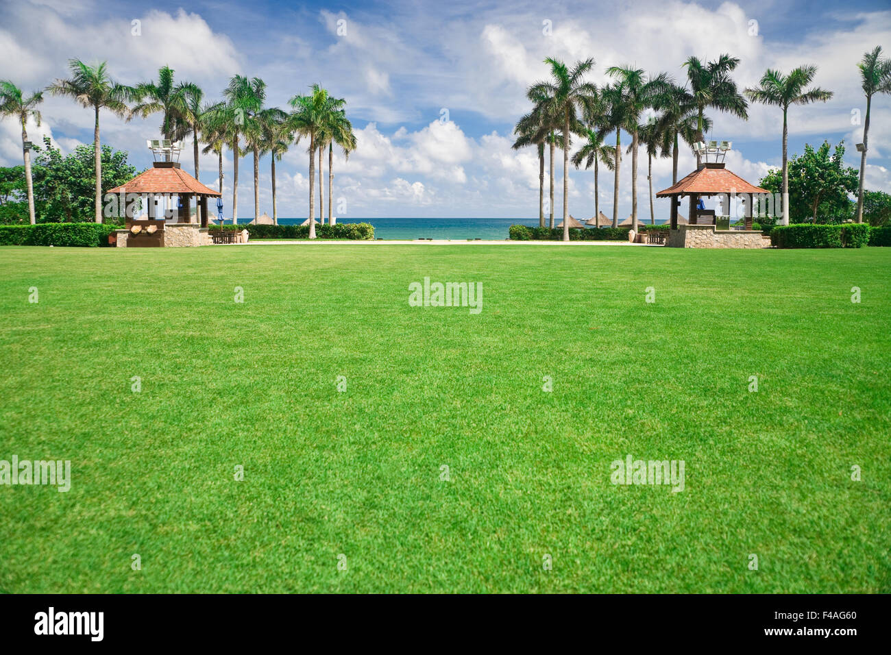 Green lawn in tropical resort Stock Photo - Alamy