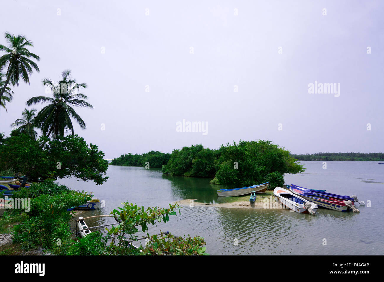 Kallady estuary landscape, Batticaloa, Sri Lanka Stock Photo - Alamy