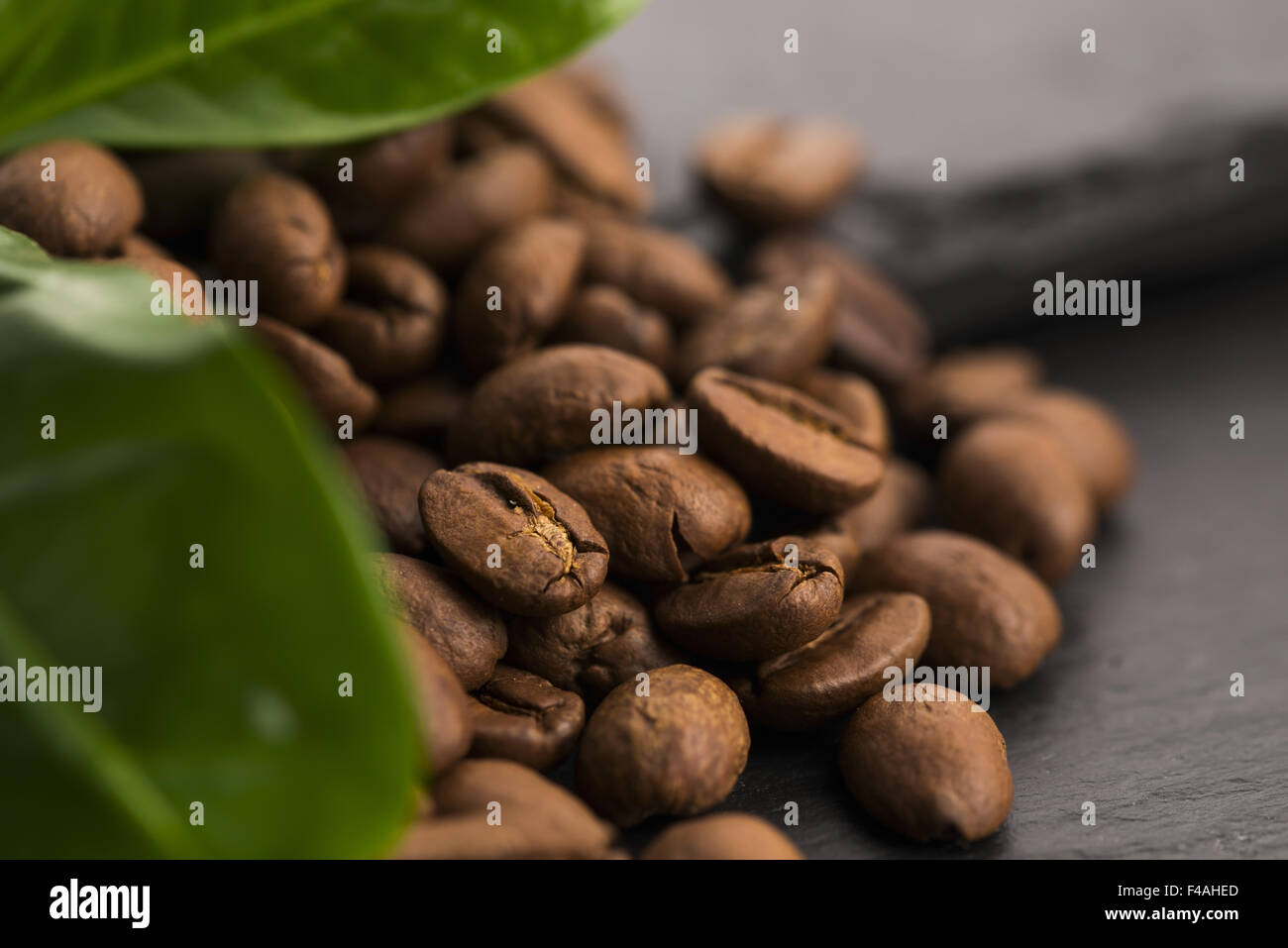 coffee grains and leaves Stock Photo - Alamy
