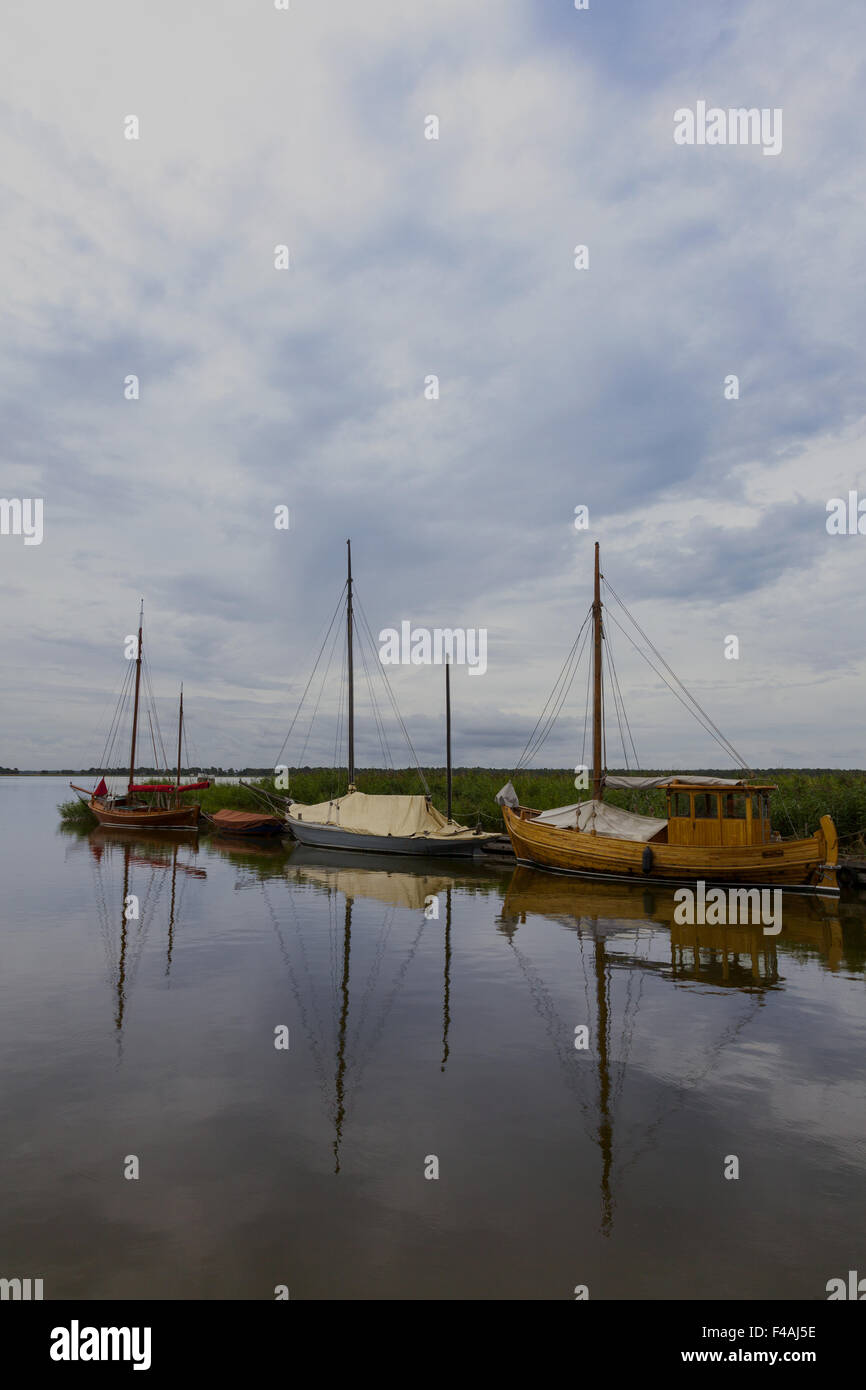 Nationalpark vorpommersche bodden landschaft hi-res stock photography ...
