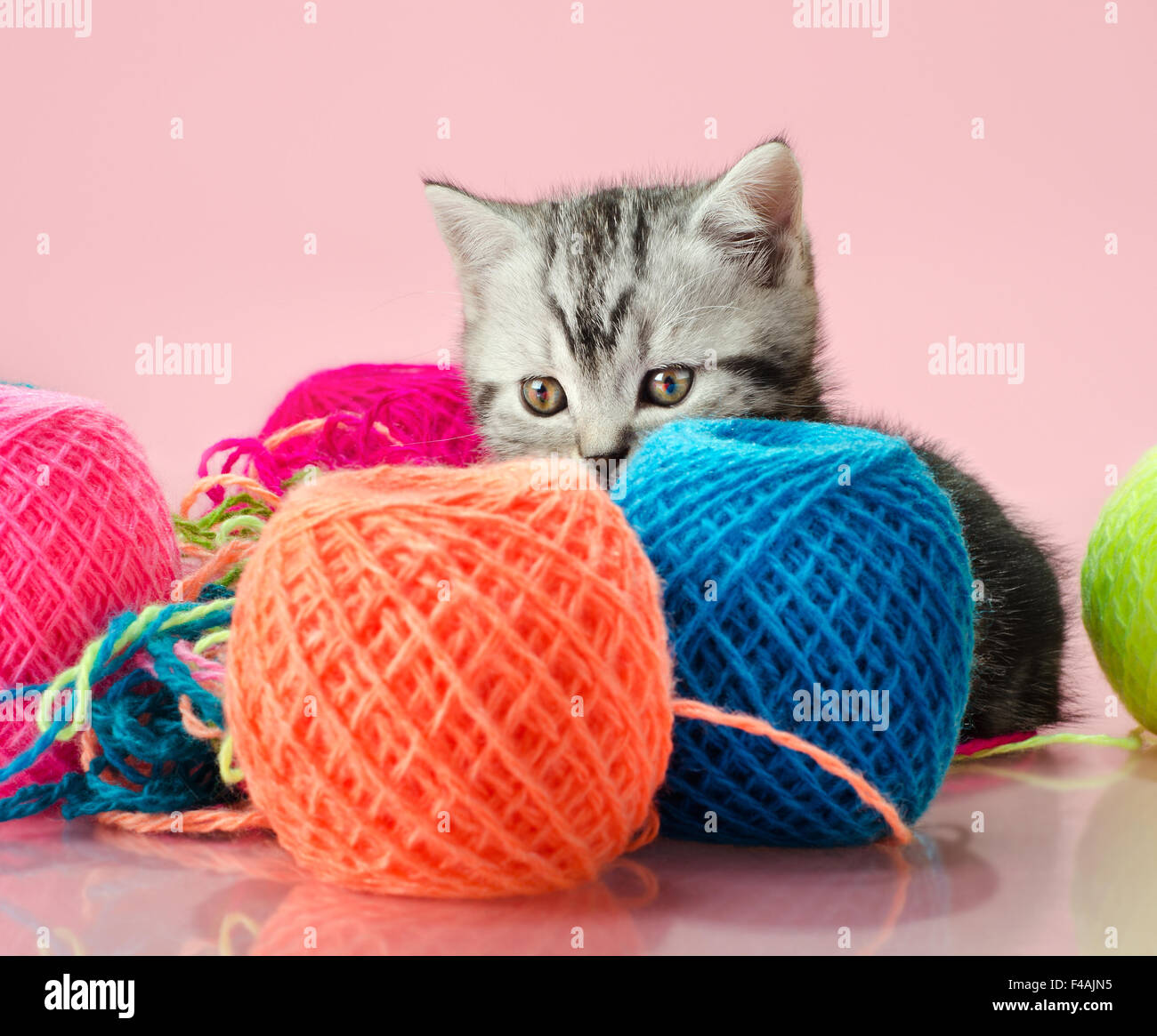 Ball of string kitten hi-res stock photography and images - Alamy