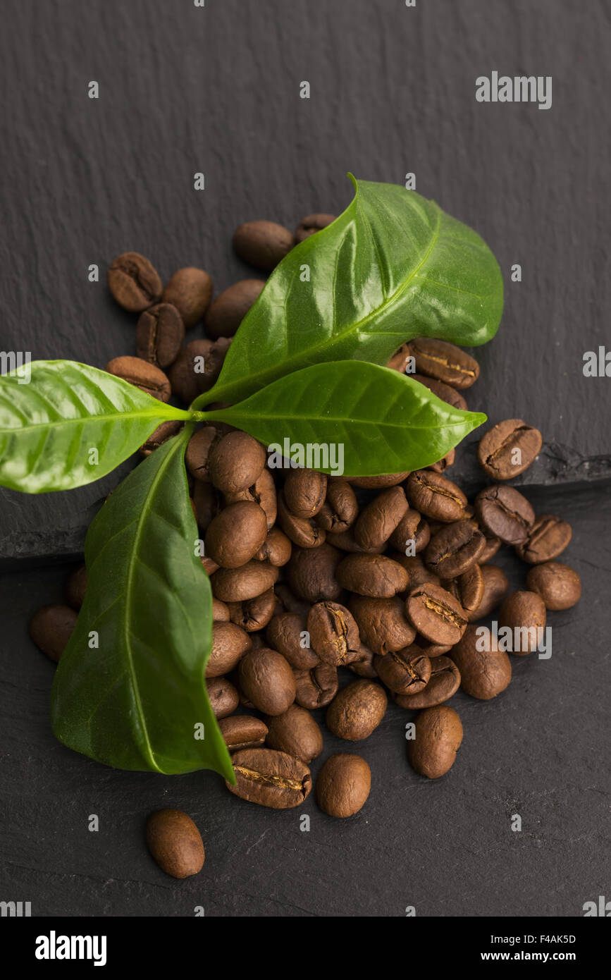 coffee grains and leaves Stock Photo - Alamy