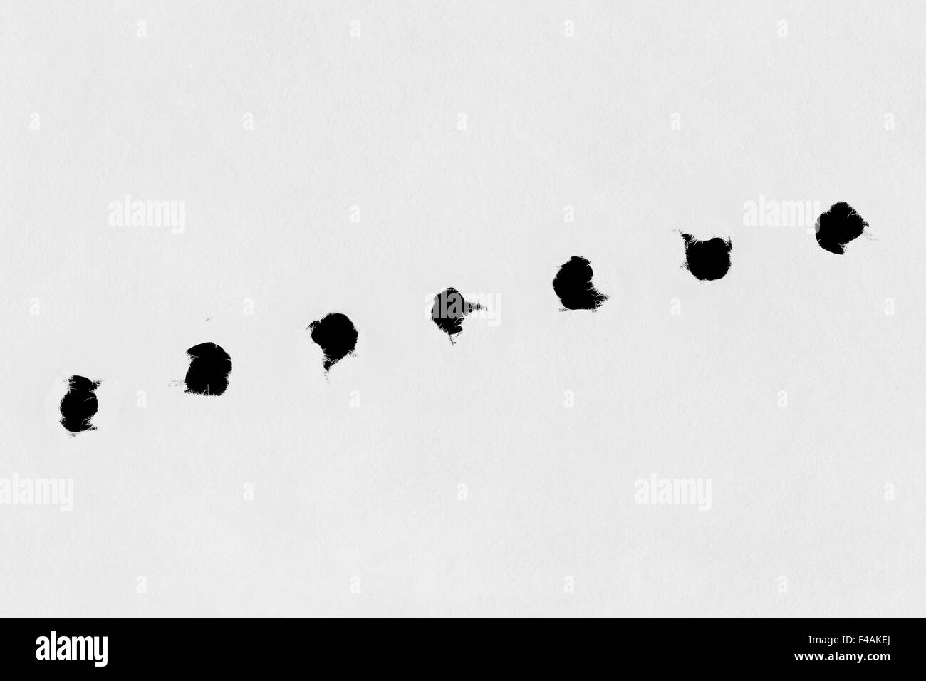 Holes on paper Stock Photo - Alamy