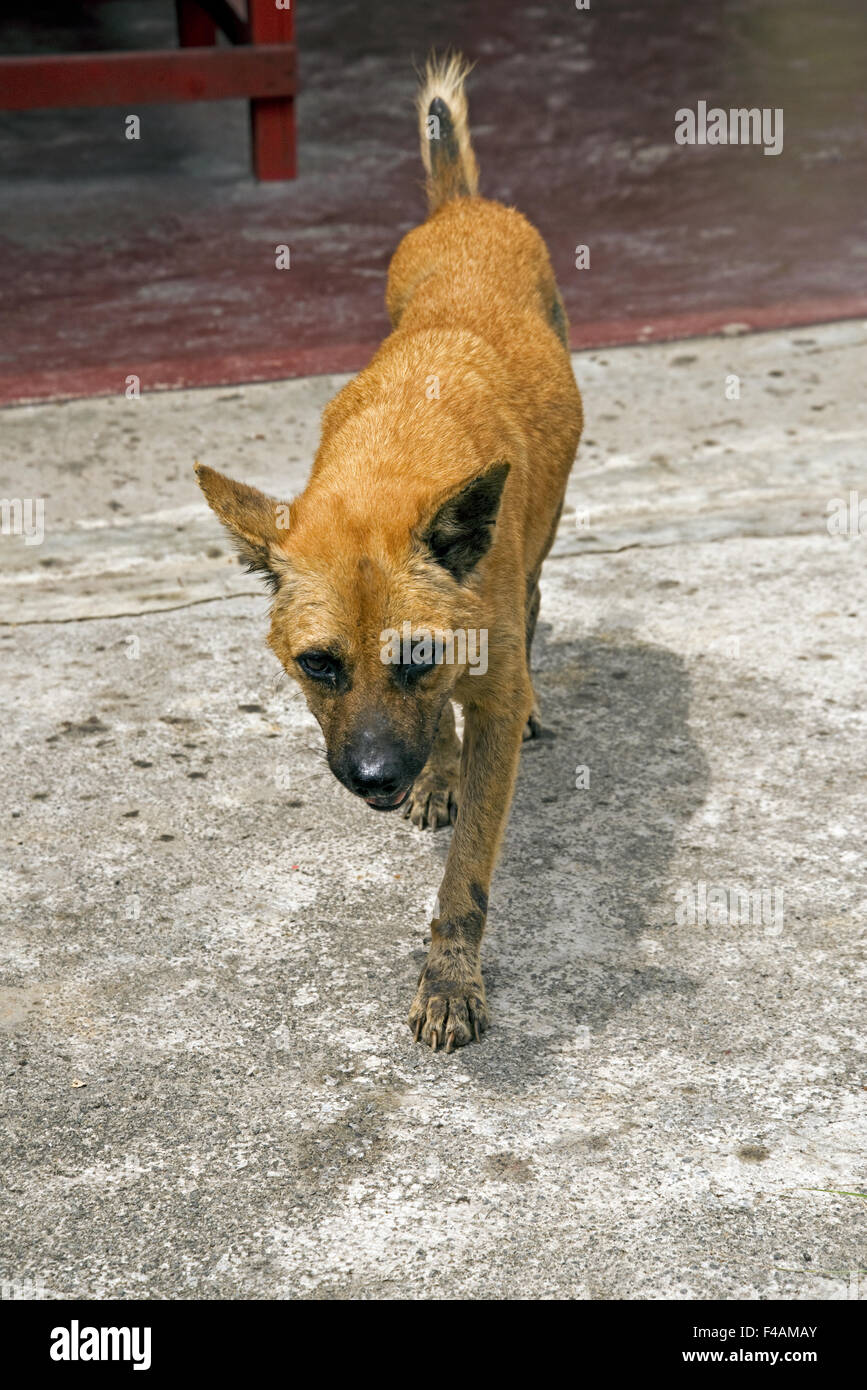 Ownerless hi-res stock photography and images - Alamy