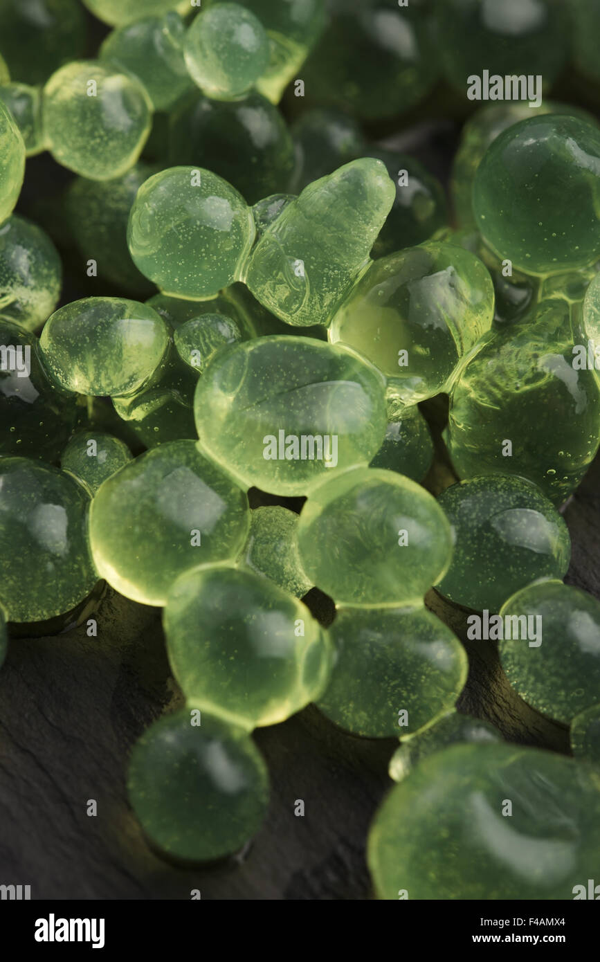 mint caviar, molecular gastronomy Stock Photo - Alamy