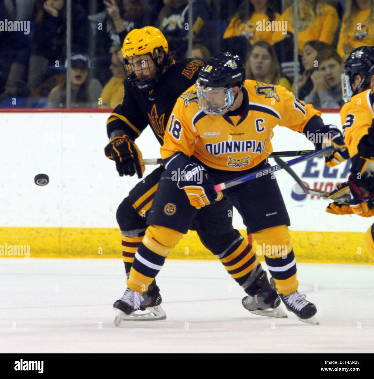 Hamden, CT, USA. 15th Oct, 2015. October 15, 2014 - Hamden, Connecticut ...