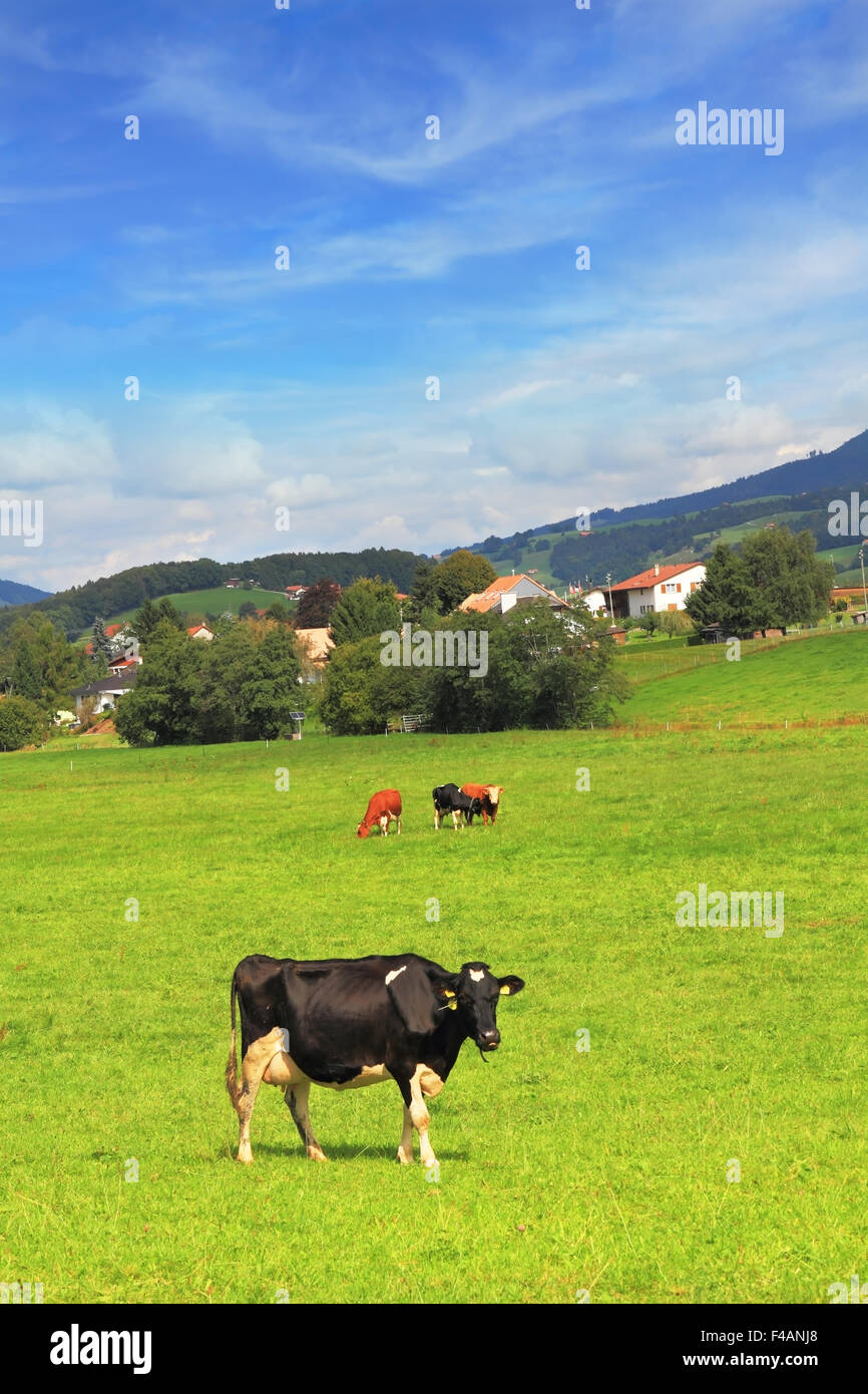 Pastoral scene hi-res stock photography and images - Alamy
