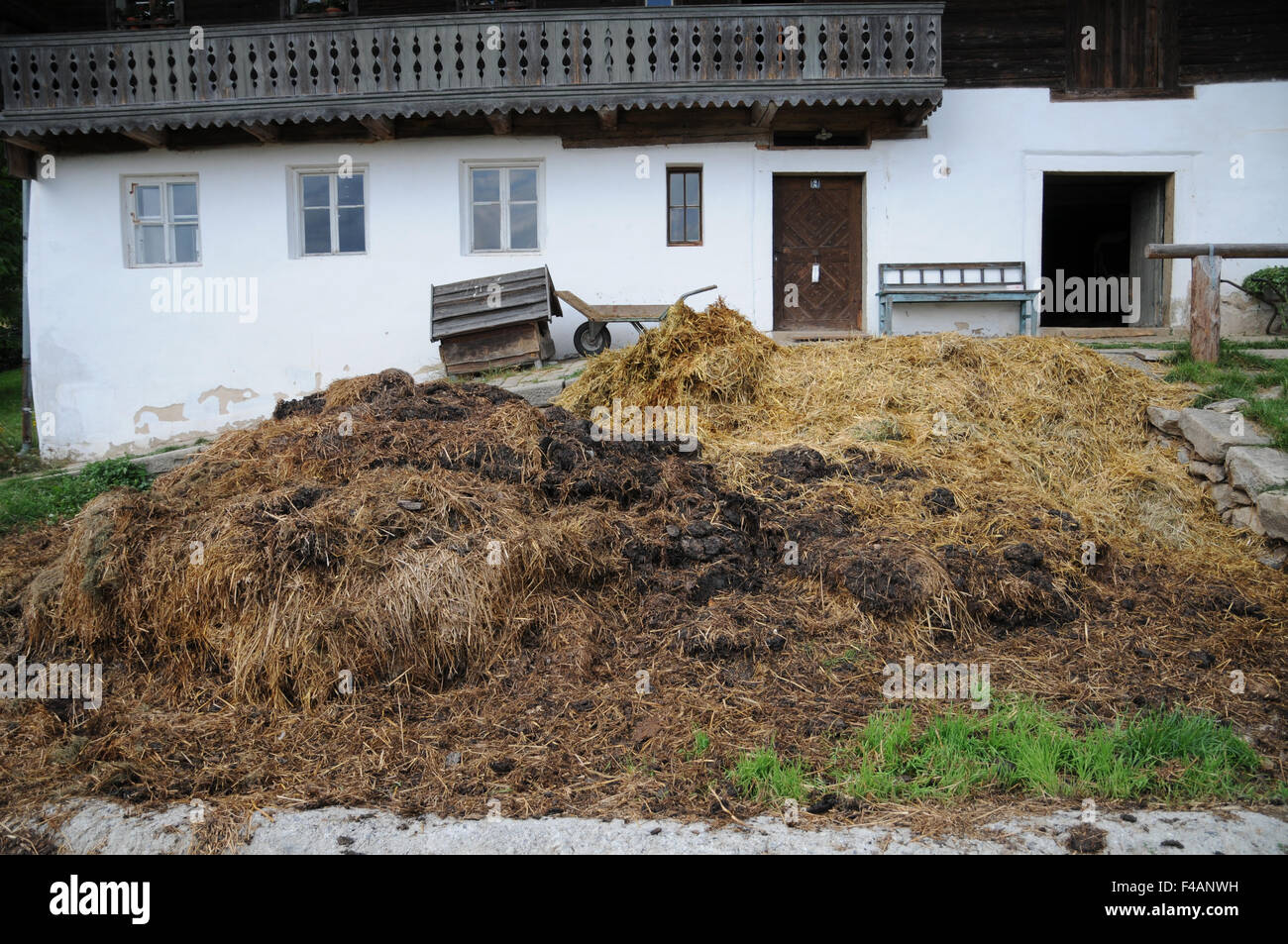 Dung hi-res stock photography and images - Alamy