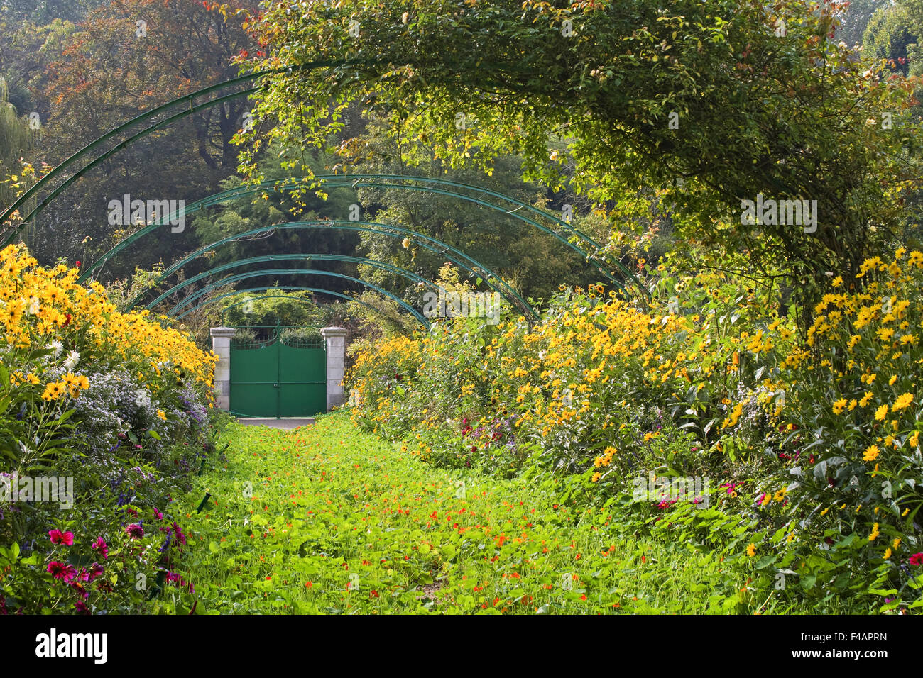 Monet's Garden, Giverny, Normandy, France Stock Photo - Alamy
