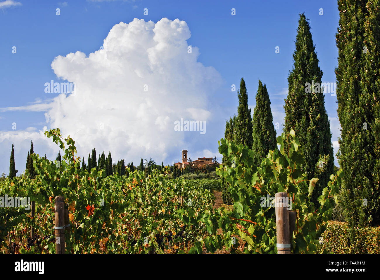 Volpaia wine village, Tuscany, Italy Stock Photo - Alamy