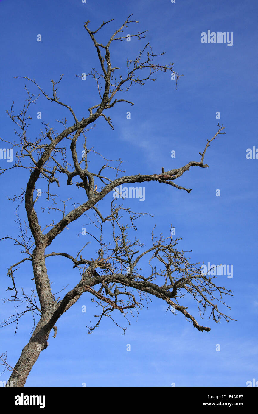 Tall format hi-res stock photography and images - Alamy
