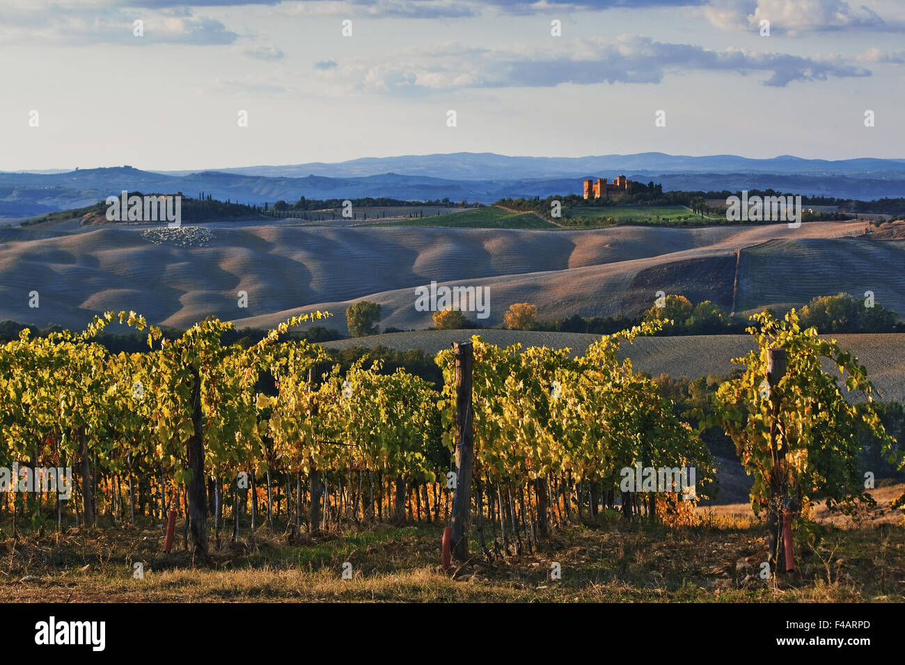 Castello toscana hi-res stock photography and images - Alamy