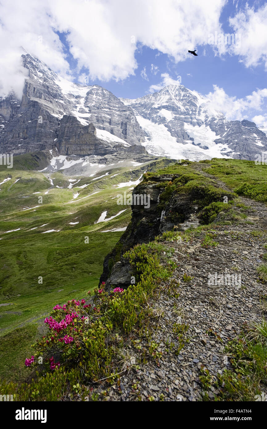 Eiger gletscher hi-res stock photography and images - Alamy