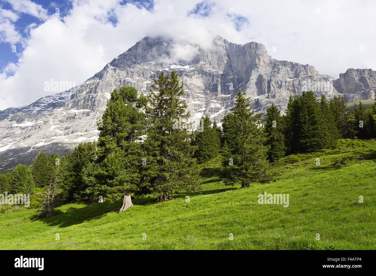 Eiger gletscher hi-res stock photography and images - Alamy