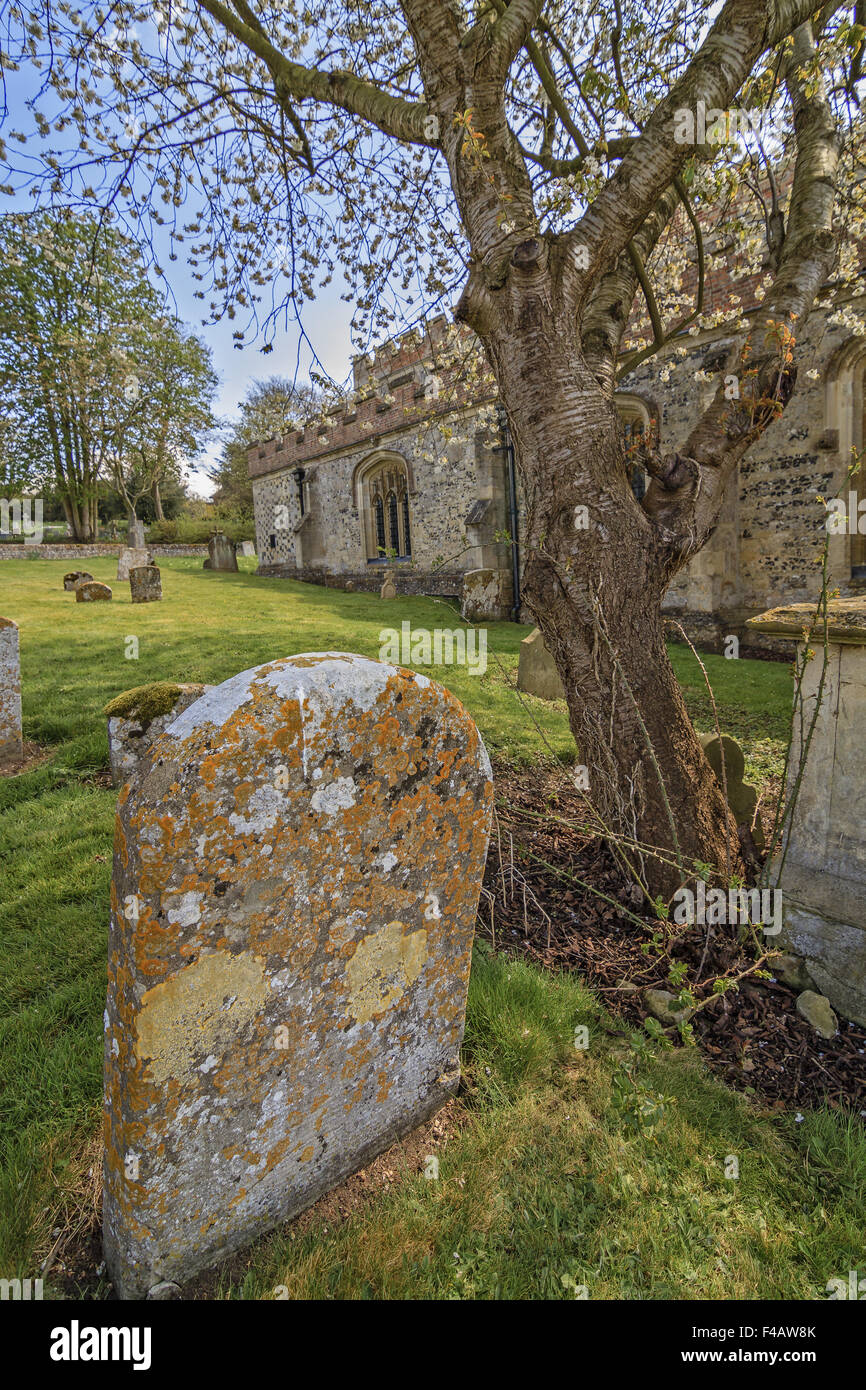 Tomb Under A Tree
