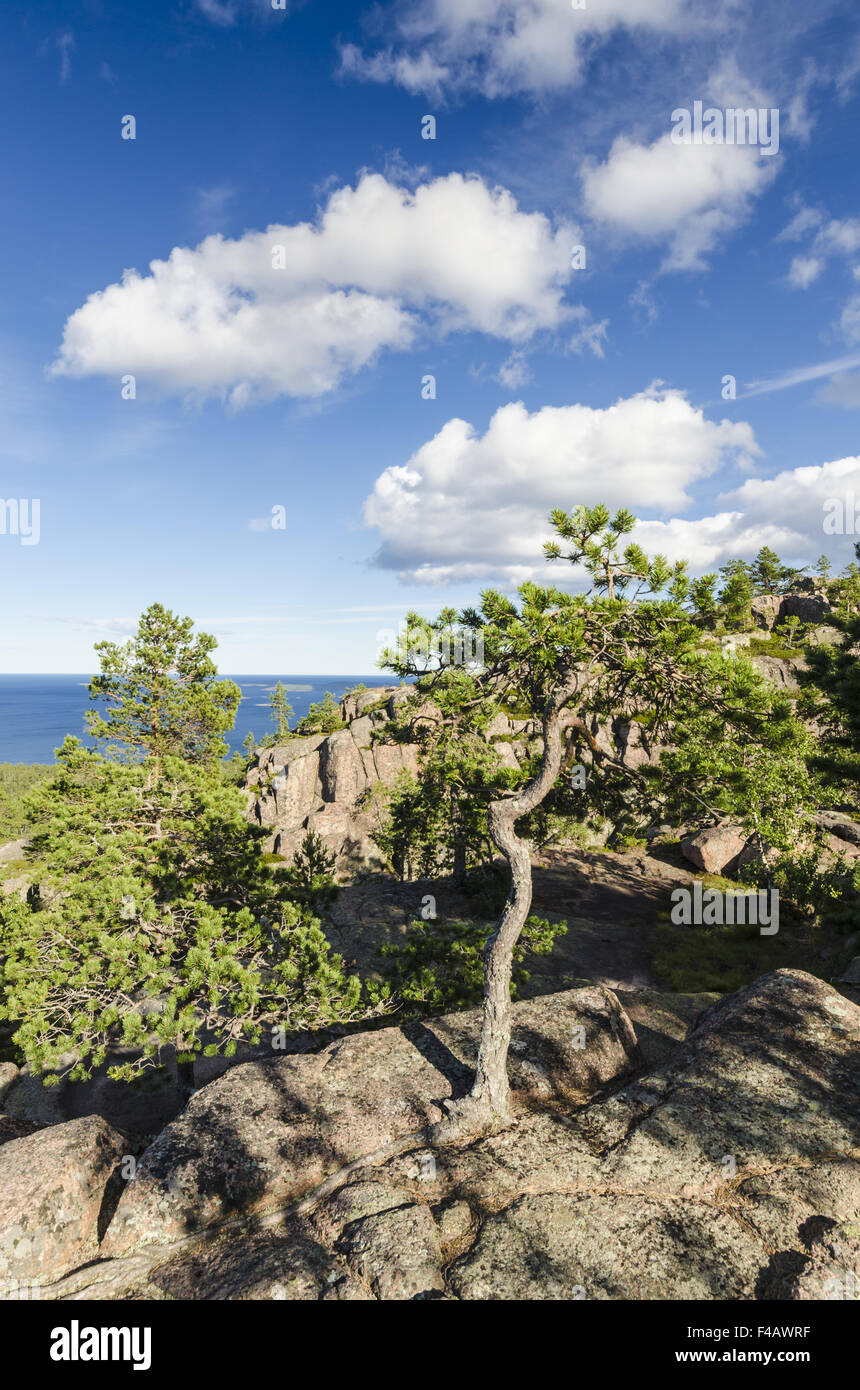 High coast sweden hi-res stock photography and images - Alamy