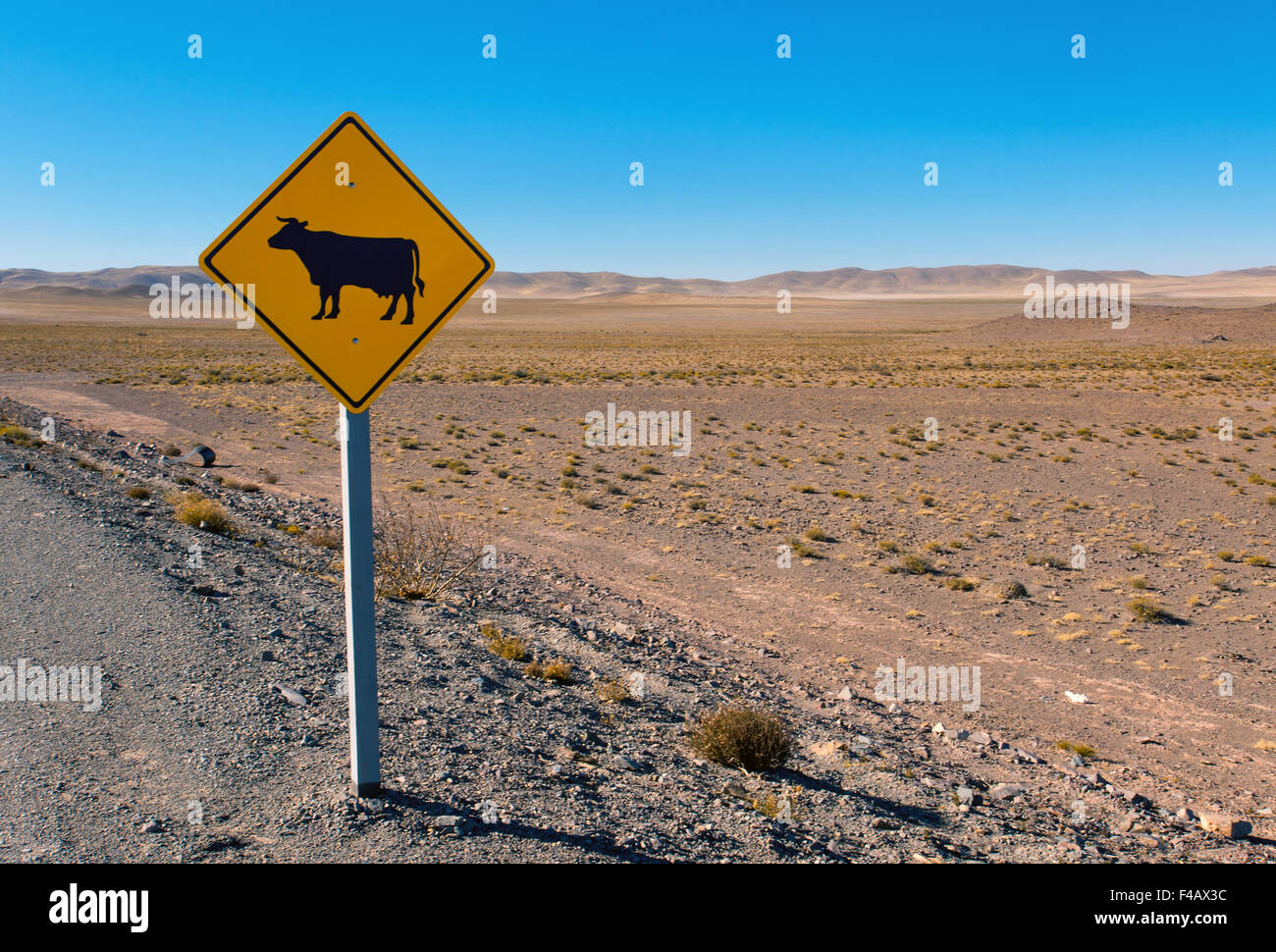 Cow sign in the andes Stock Photo - Alamy