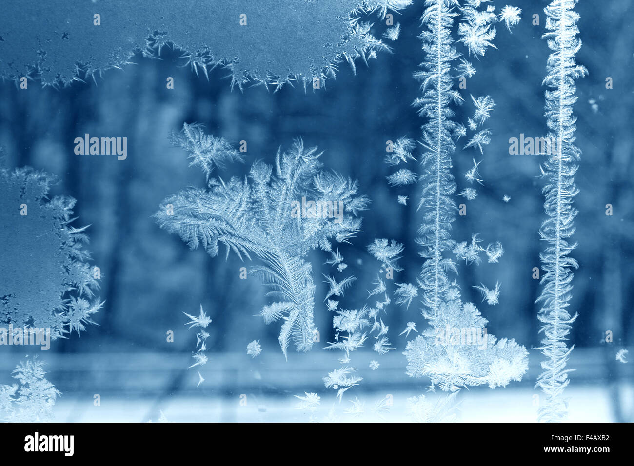 frost ice crystals Stock Photo - Alamy