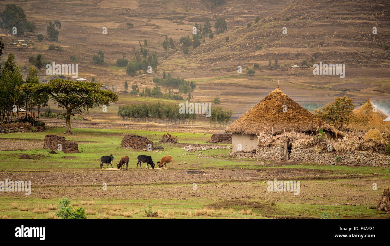 Life in the countryside Stock Photo - Alamy