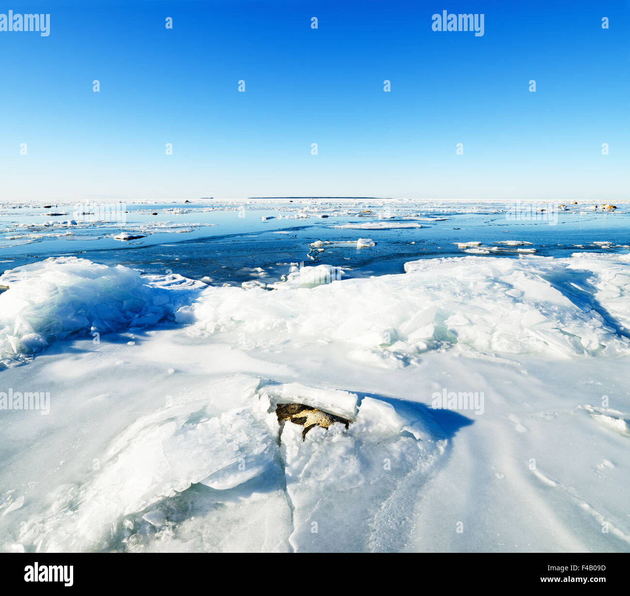 Sea ice in natural hi-res stock photography and images - Alamy