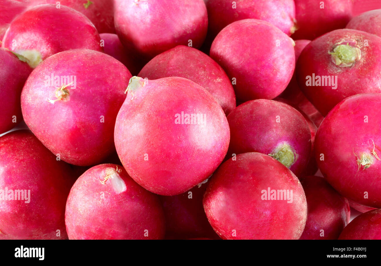 Beautiful delicious red radish photographed close up Stock Photo - Alamy