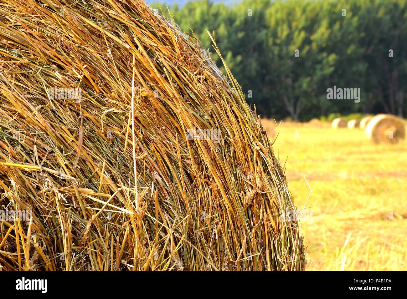 Field operations hi-res stock photography and images - Alamy