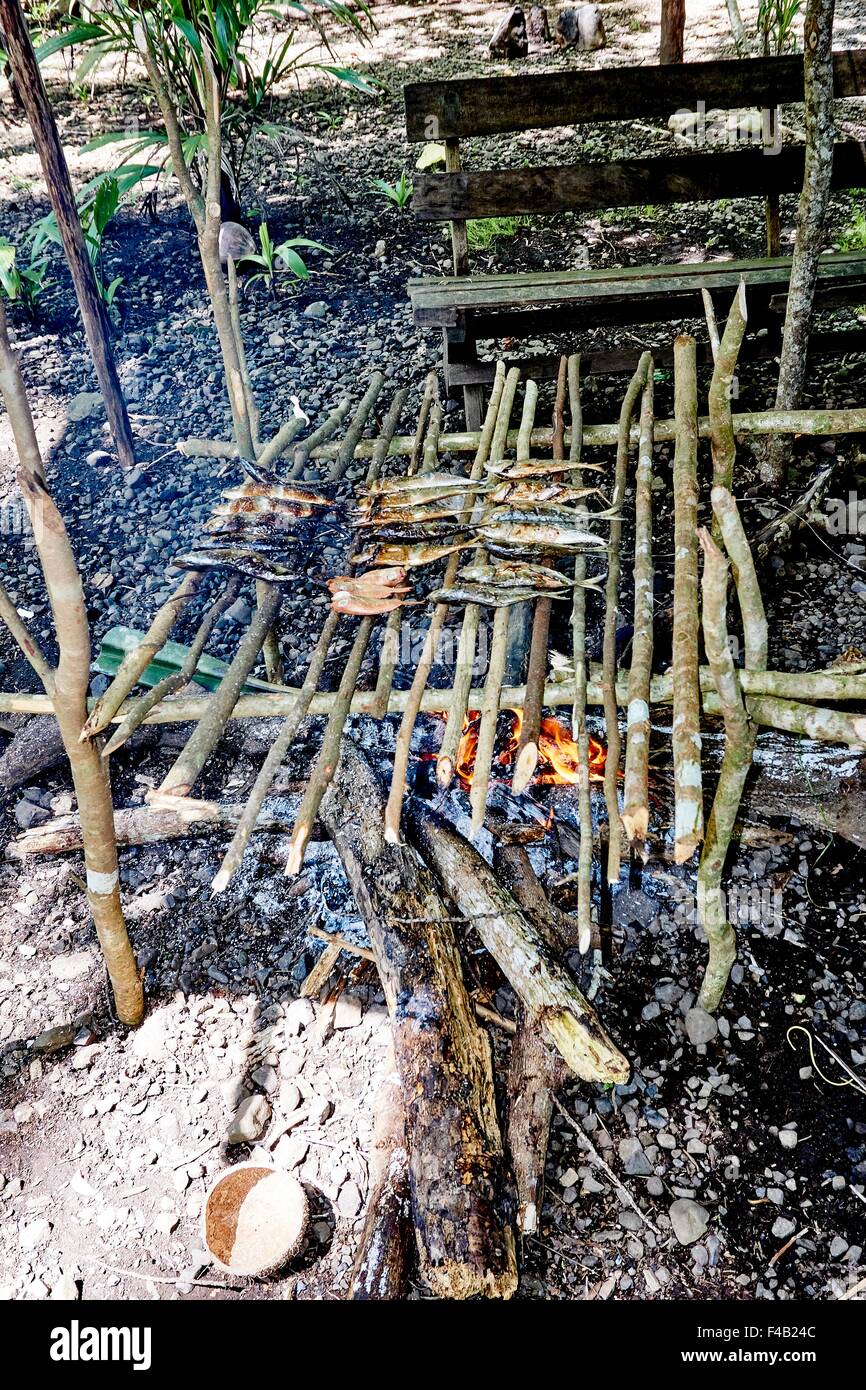 Alotau Papua New Guinea Local Native Indigenous Cooking Fire Stock ...