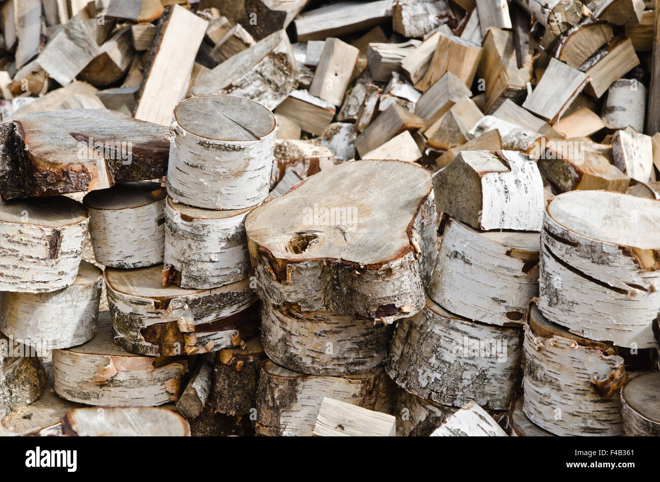 Fire birch hi-res stock photography and images - Alamy