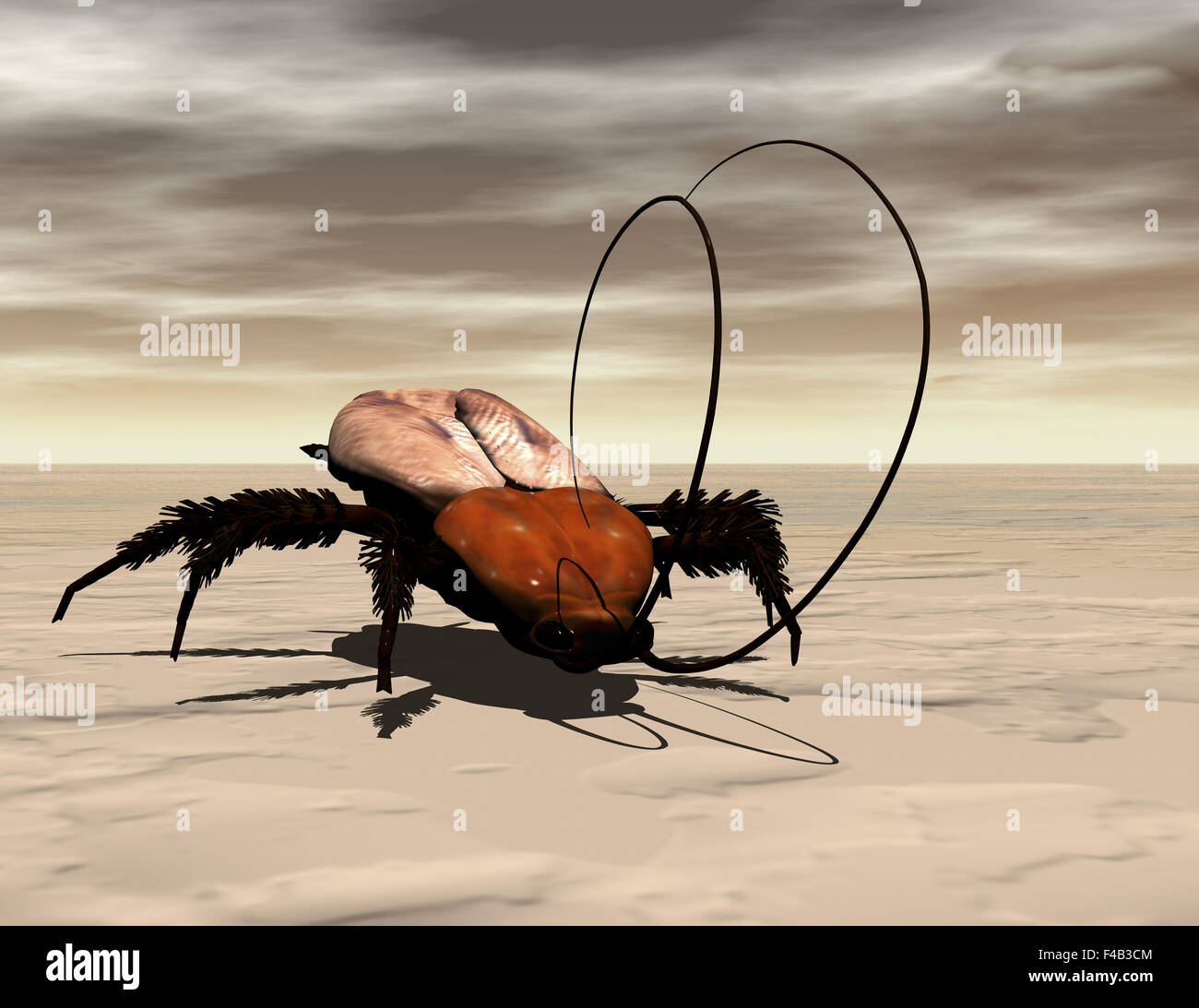 öko katastrophe hi-res stock photography and images - Alamy