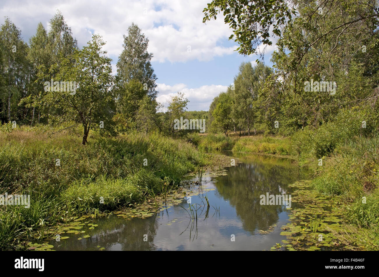 Quiet river hi-res stock photography and images - Alamy