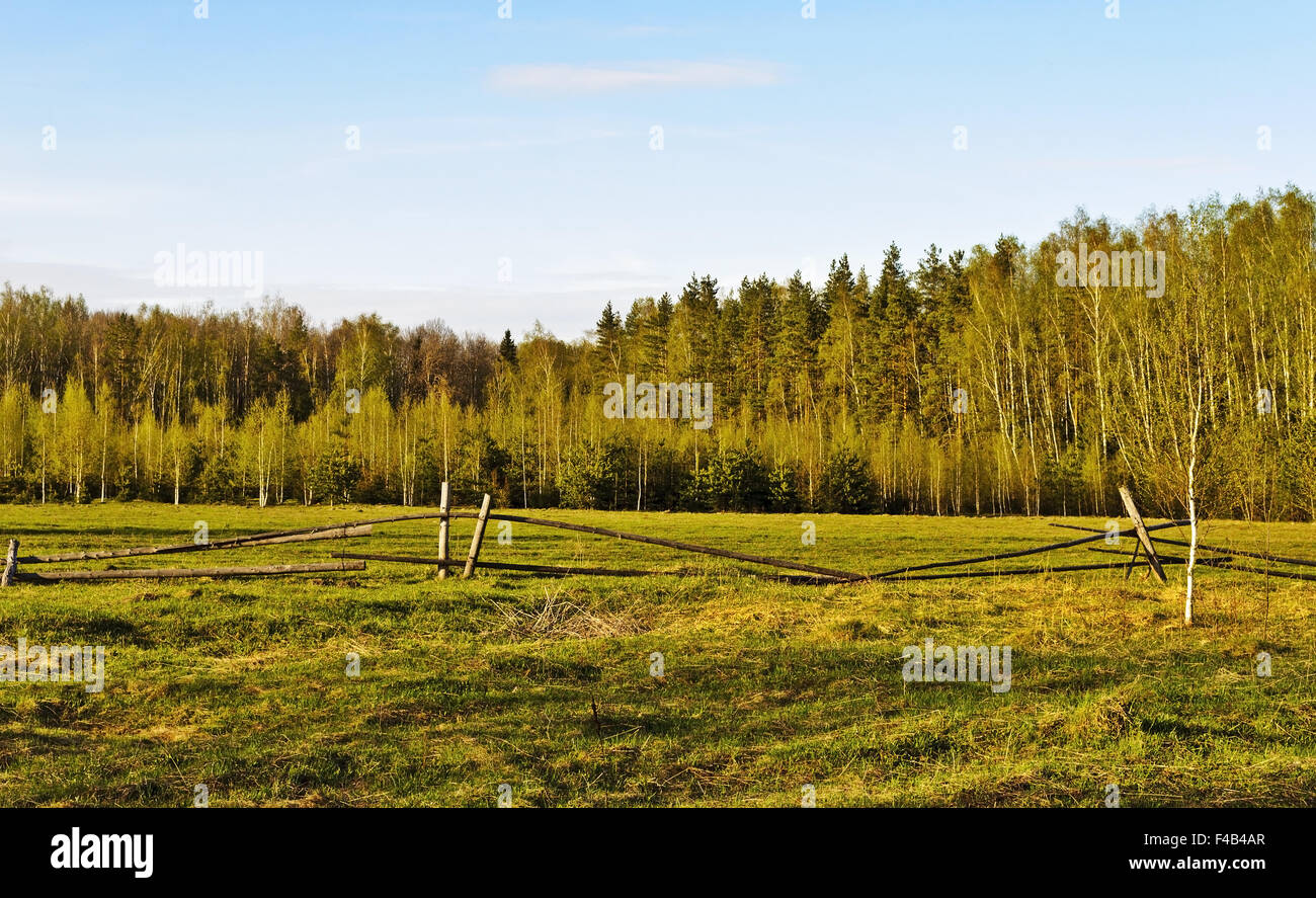 Fenced green pasture in a forest Stock Photo - Alamy