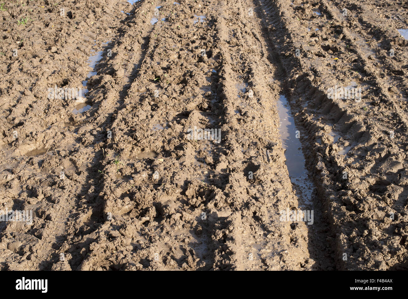Muddy puddle road after rain hi-res stock photography and images - Alamy