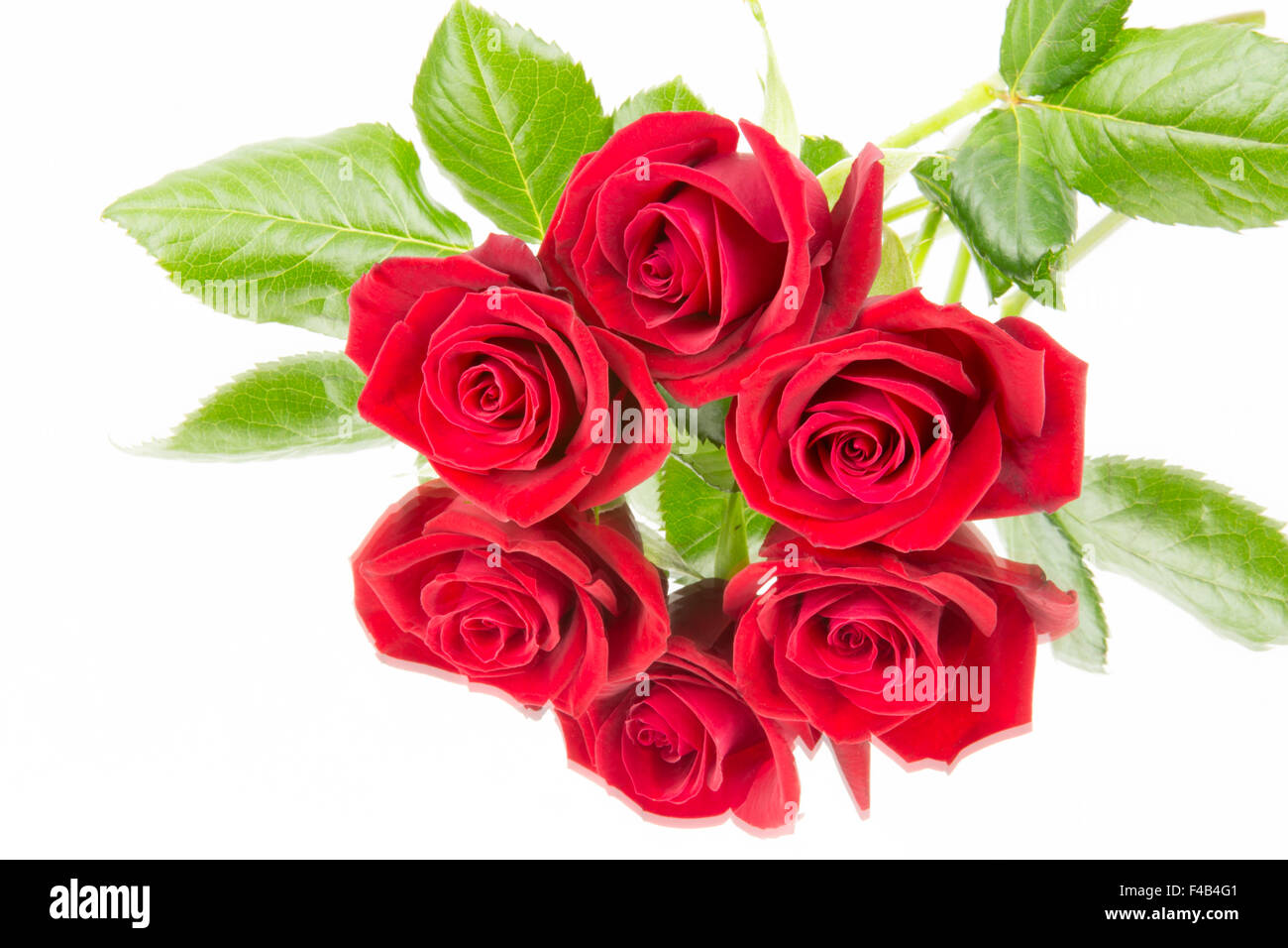 Three red roses on a mirror Stock Photo - Alamy